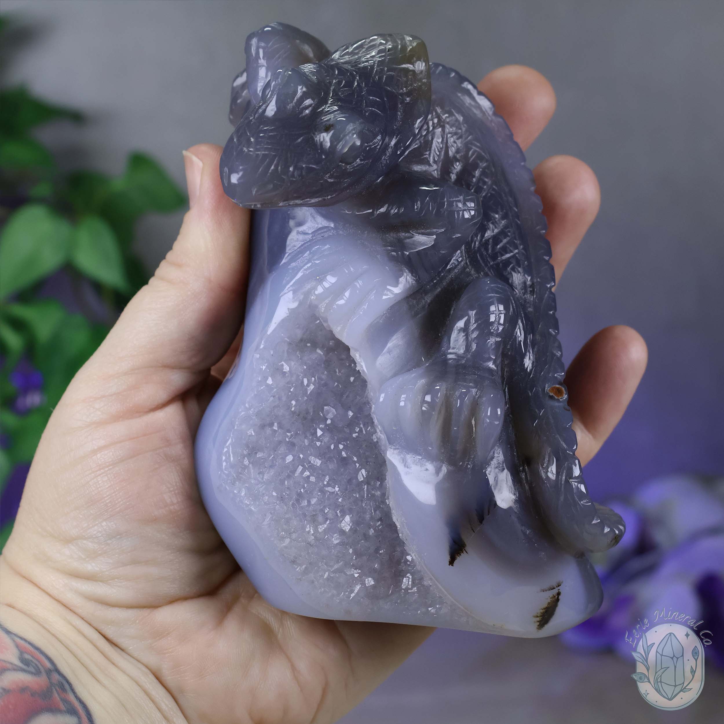 Druzy Quartz Agate Geode Lizard On Rock Carving | Eerie Mineral Co.