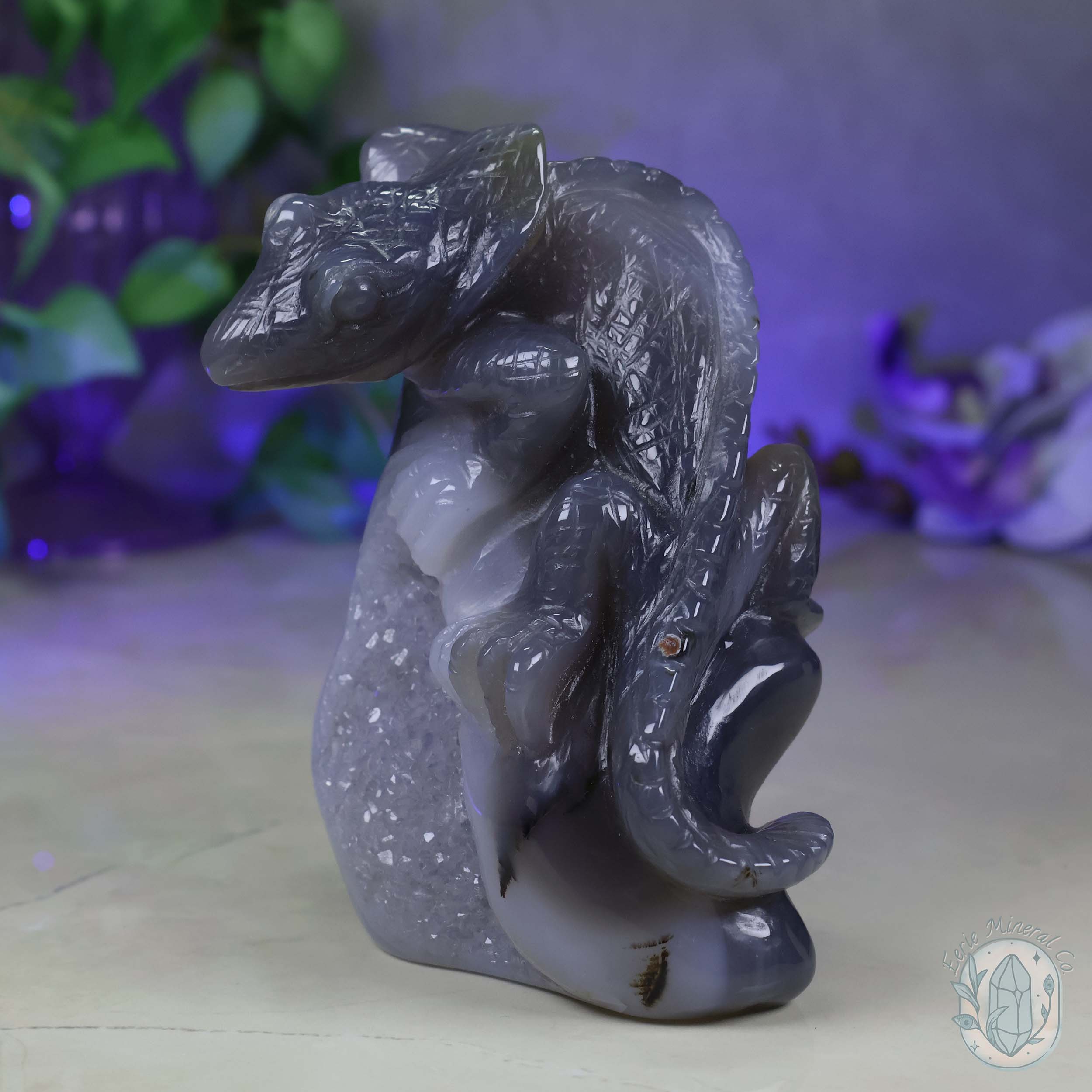 Druzy Quartz Agate Geode Lizard On Rock Carving | Eerie Mineral Co.