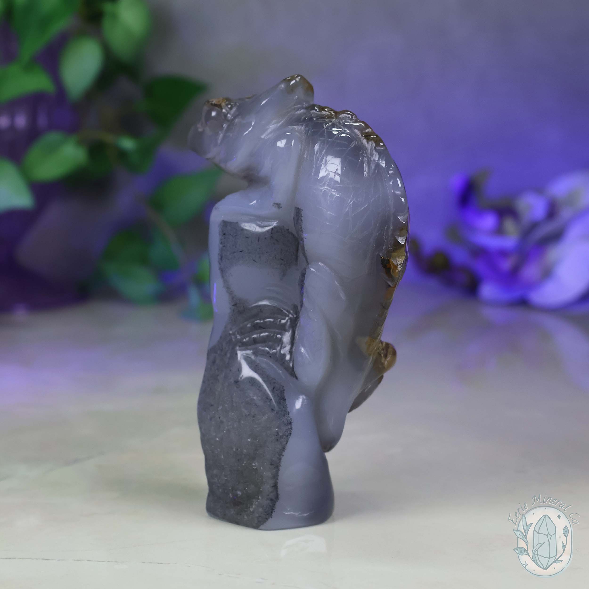 Polished Agate Lizard Perched on Rock Carving | Eerie Mineral Co.