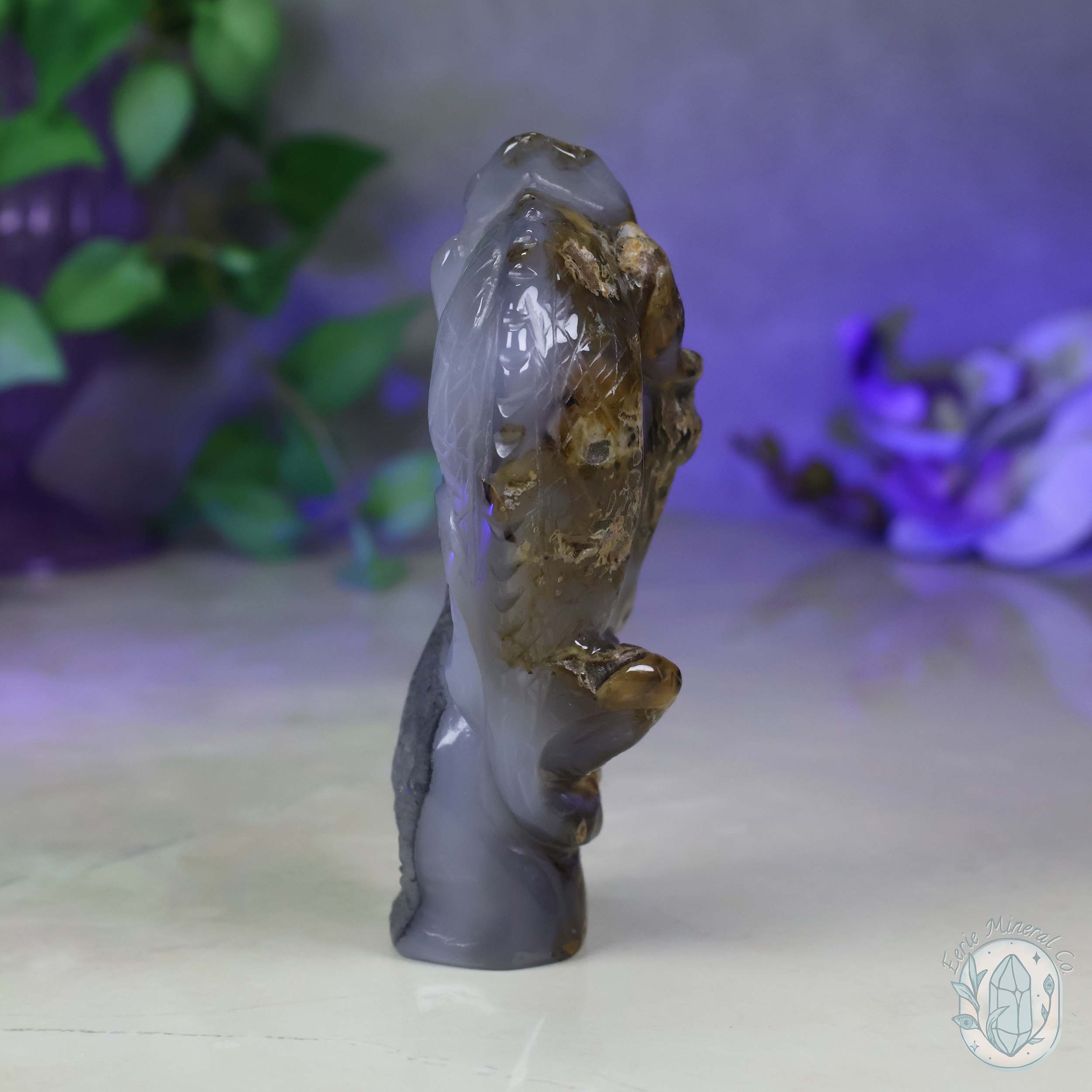 Polished Agate Lizard Perched on Rock Carving | Eerie Mineral Co.