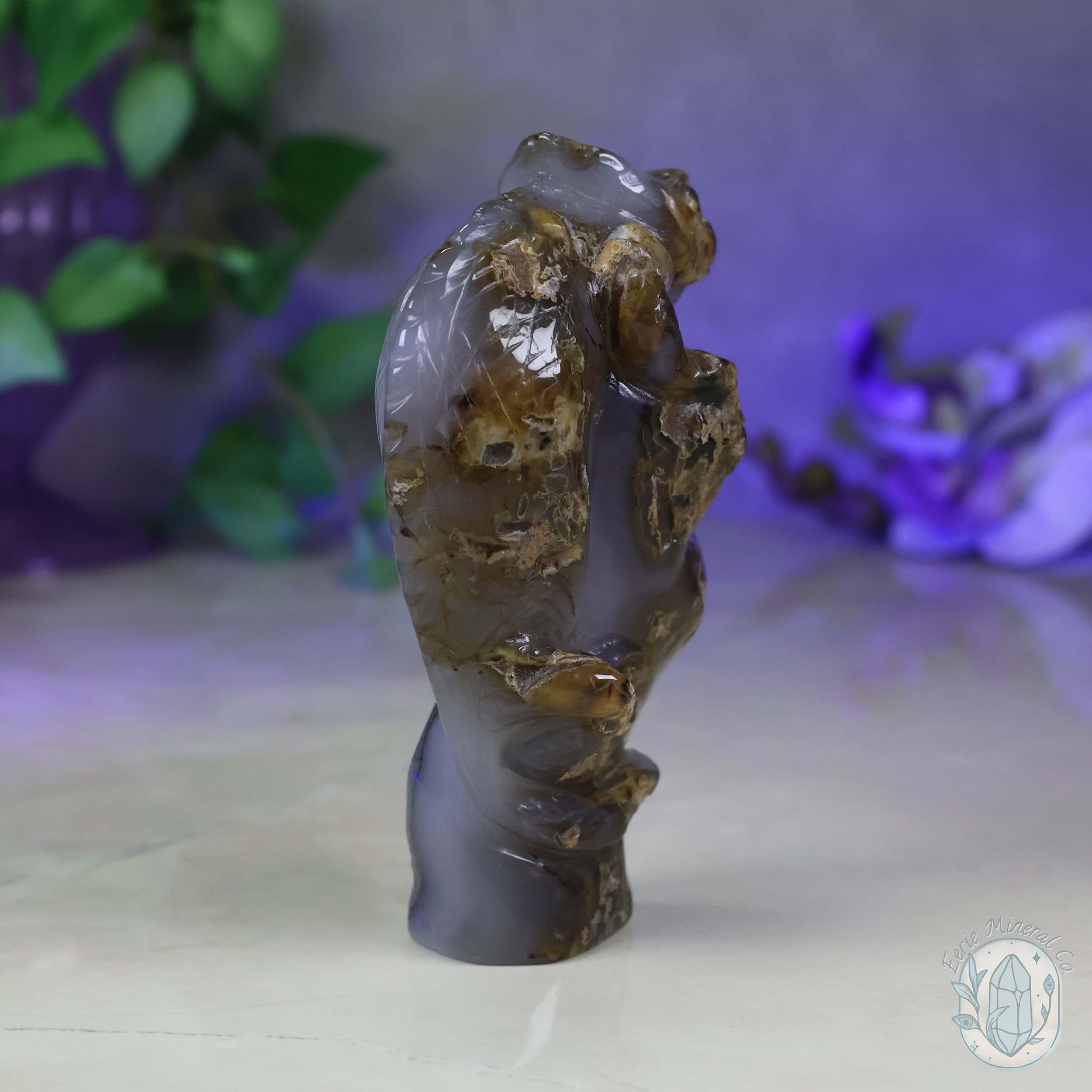 Polished Agate Lizard Perched on Rock Carving | Eerie Mineral Co.