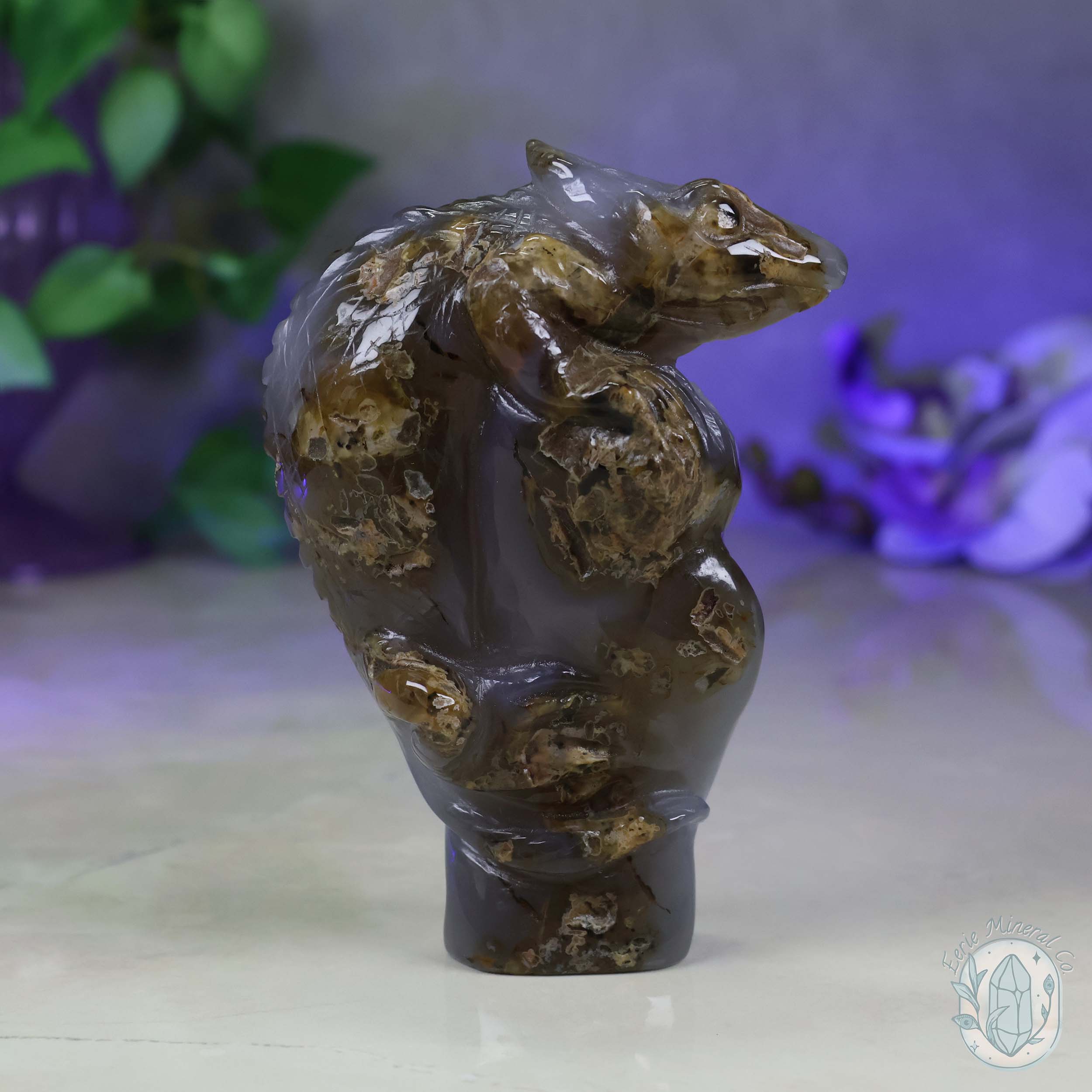 Polished Agate Lizard Perched on Rock Carving | Eerie Mineral Co.