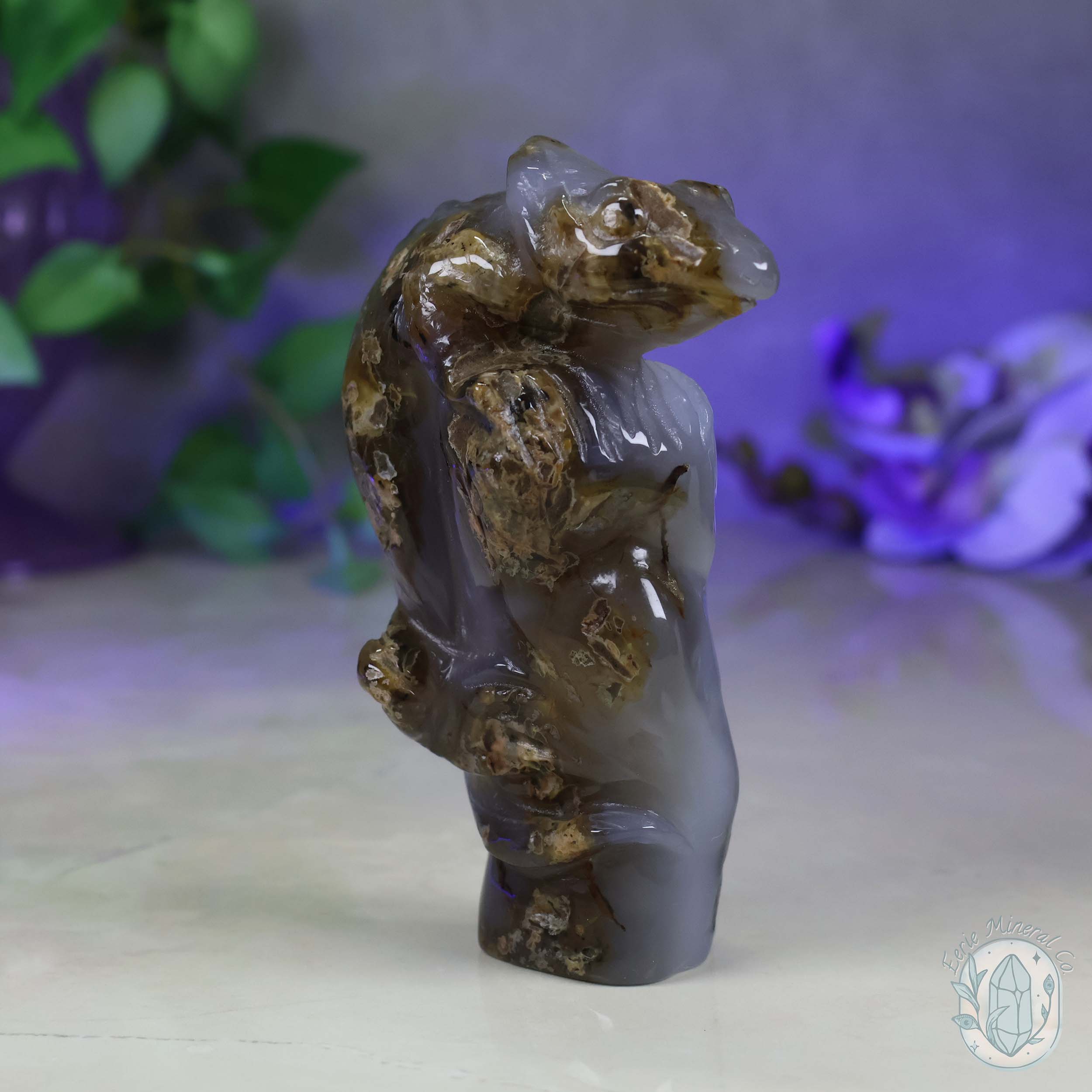 Polished Agate Lizard Perched on Rock Carving | Eerie Mineral Co.