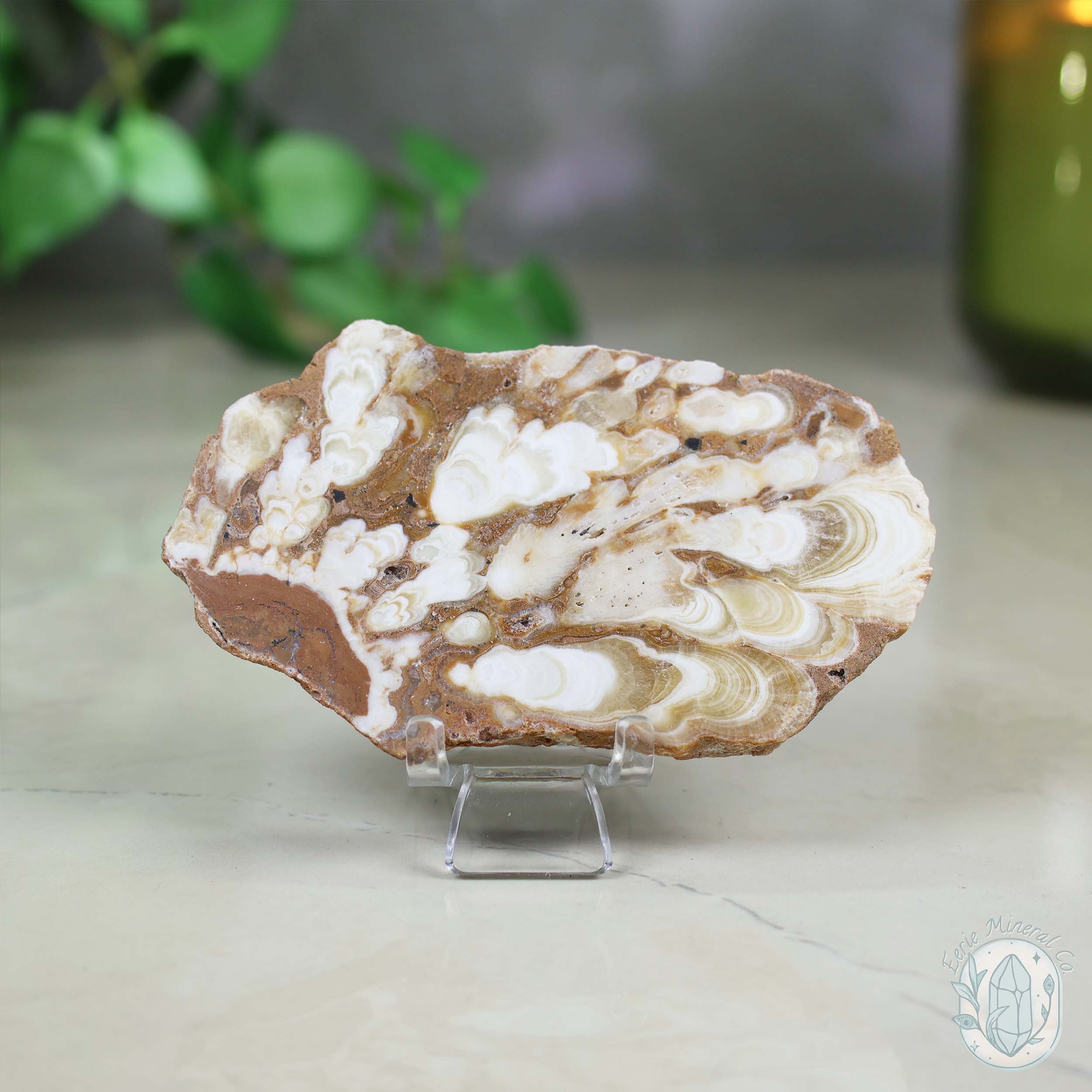 Polished Amber Calcite Slab | New Amber Calcite Slabs Just Arrived ...
