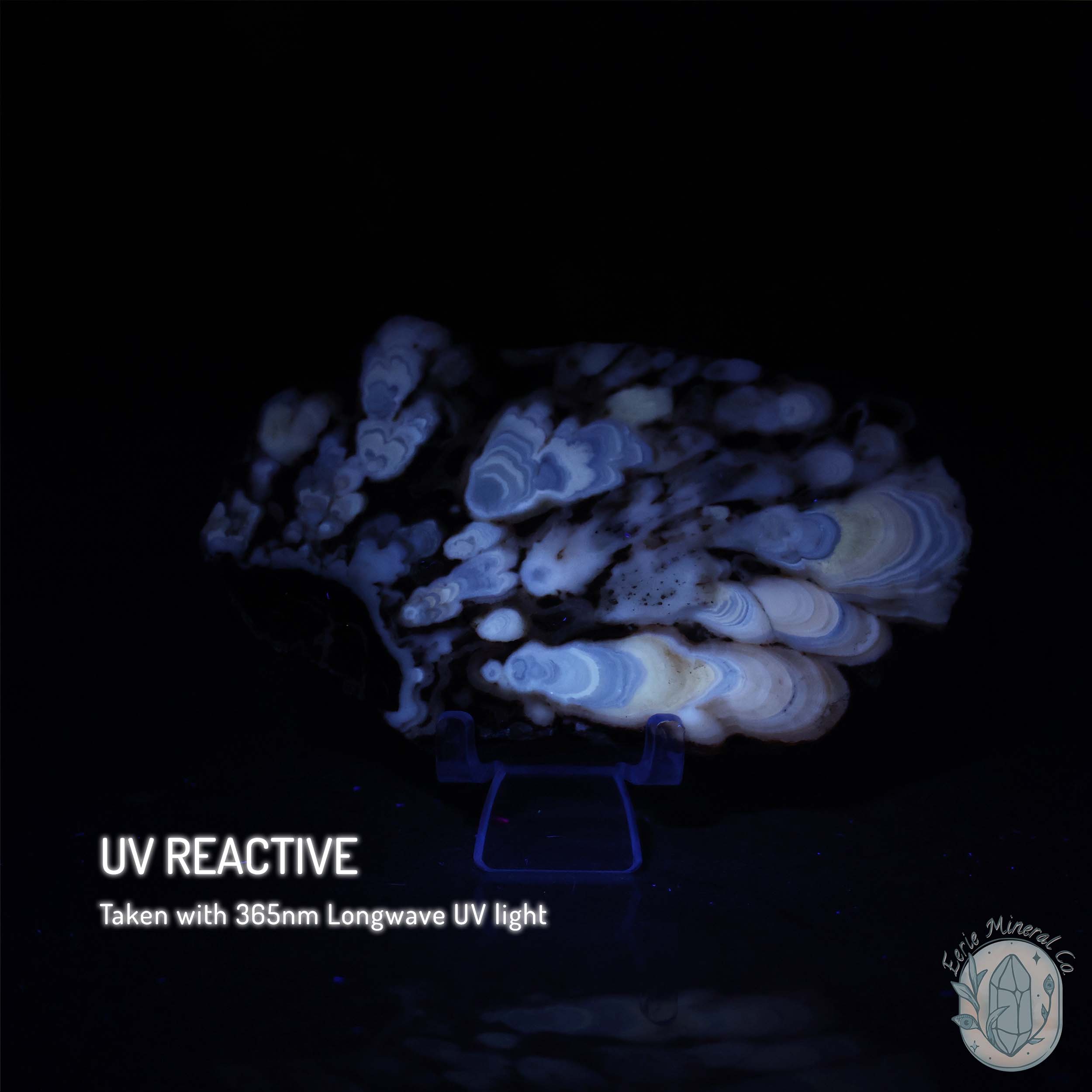 Polished Amber Calcite Slab | New Amber Calcite Slabs Just Arrived ...