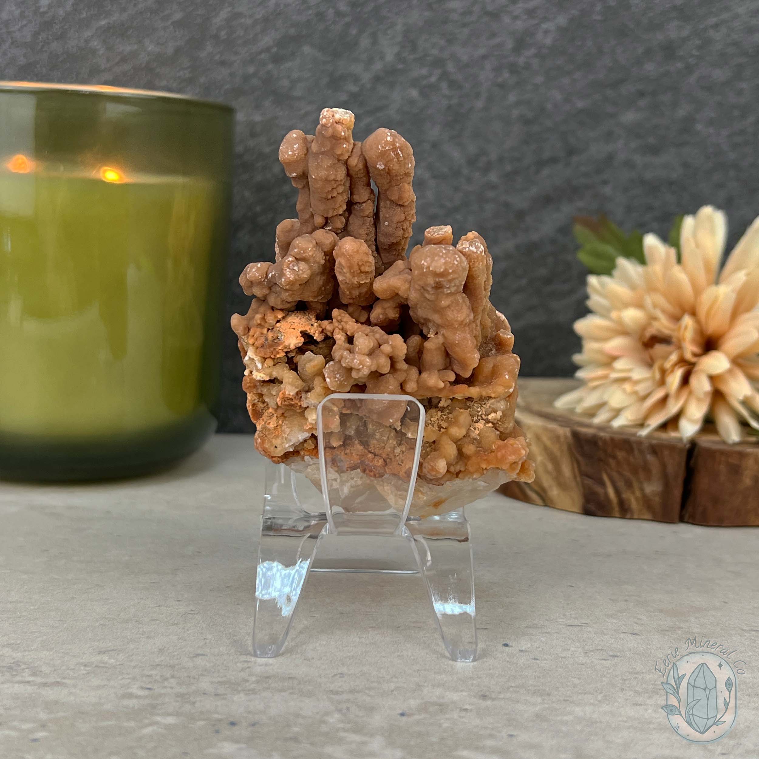 Natural Cave Calcite Stalactite Specimen - Hard to Find Specimens ...