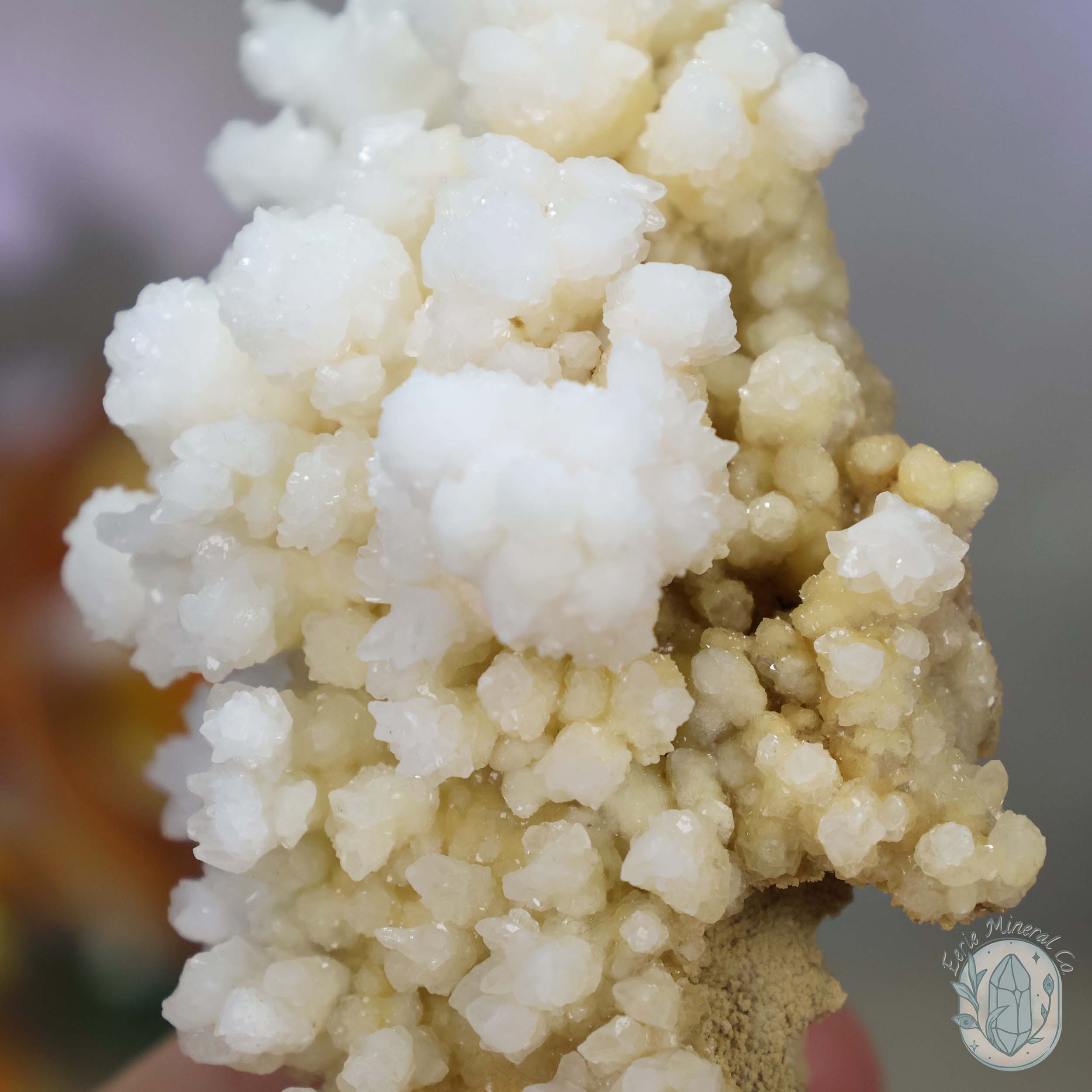 Druzy Calcite Stalactite Specimen | New Calcite Specimens Available ...
