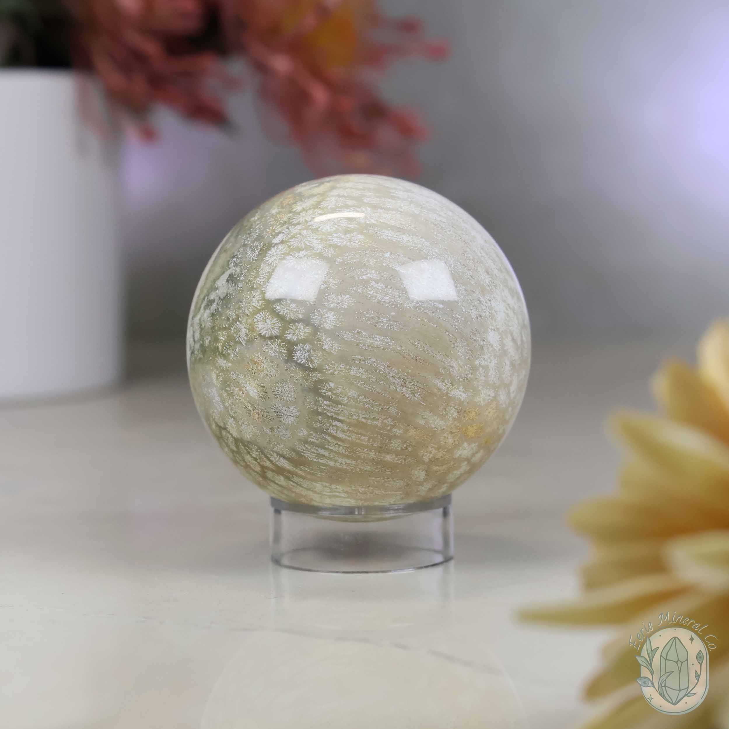 60mm Polished Fossilized Coral "Jade" Sphere – Eerie Mineral Co.