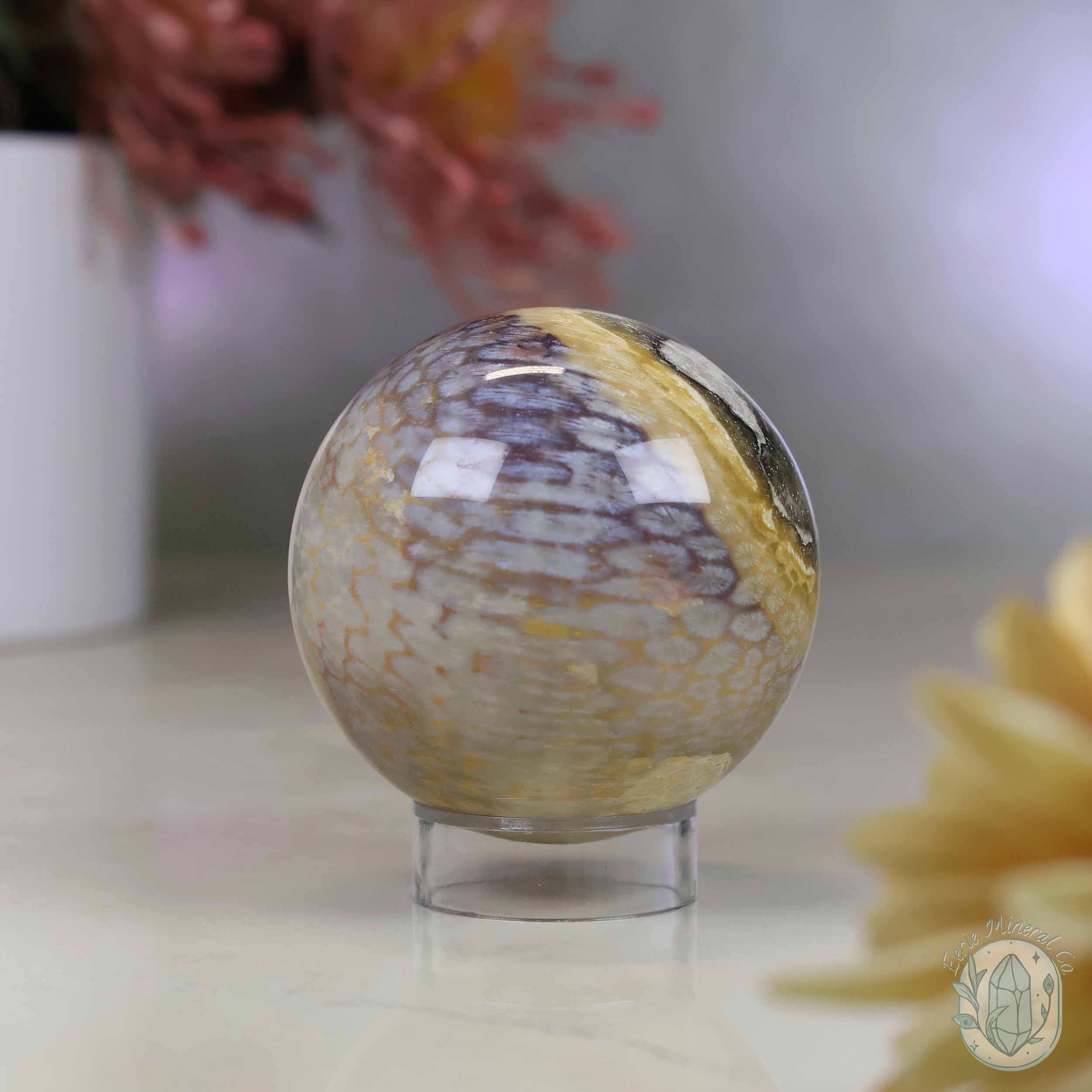 59mm Polished Fossilized Coral "Jade" Sphere – Eerie Mineral Co.