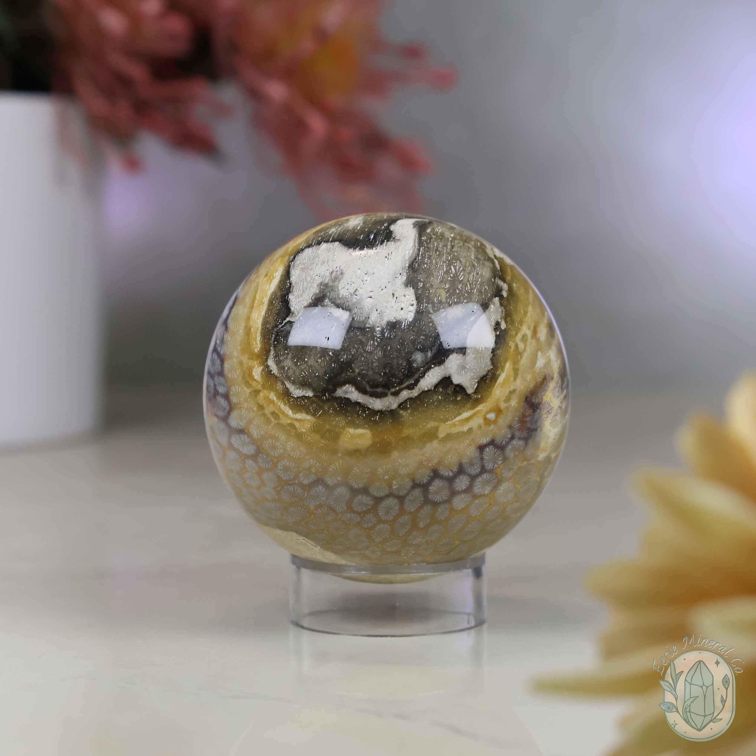 59mm Polished Fossilized Coral "Jade" Sphere – Eerie Mineral Co.