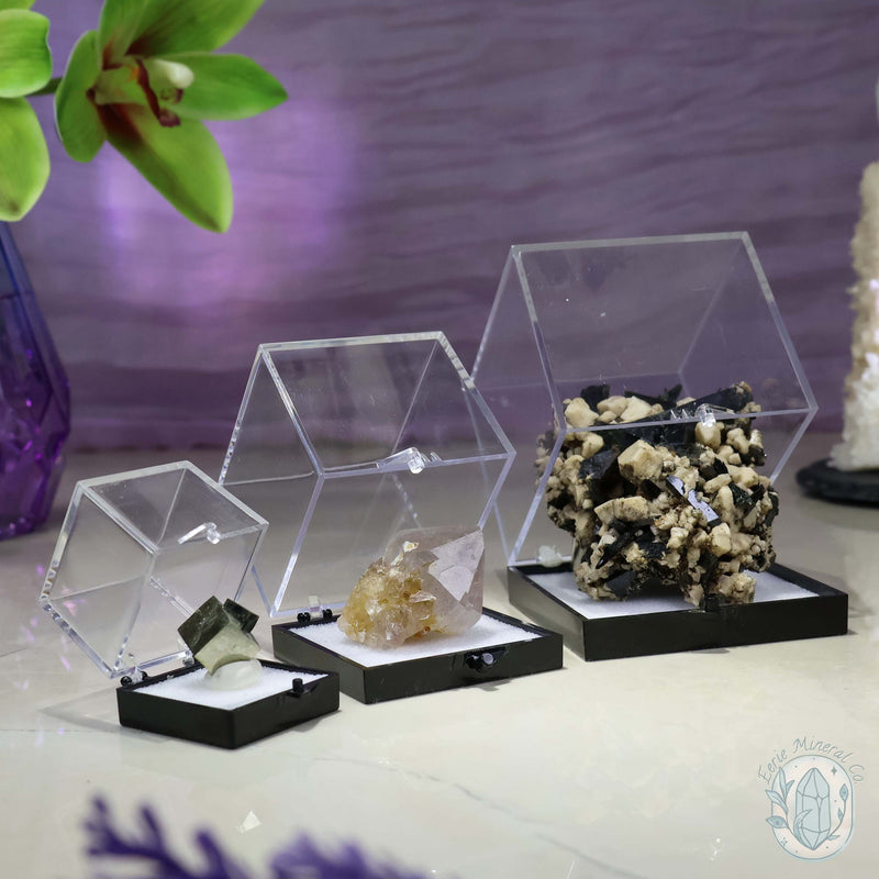 A collection of Crystal and Collectible Display Cases – Eerie Mineral Co.