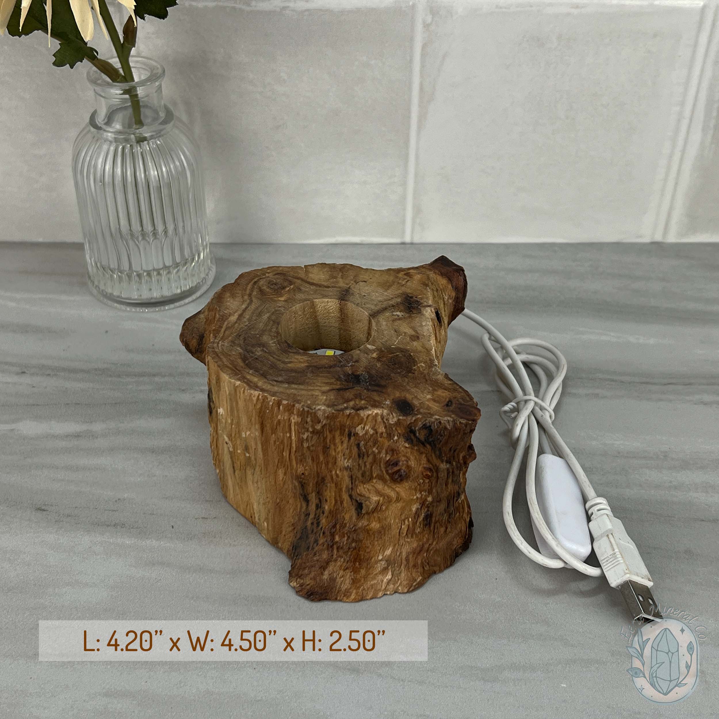 USB Powered Wood Stump LED Light Sphere Stand | Eerie Mineral Co.