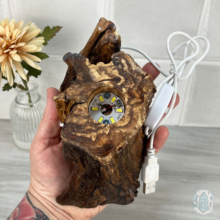 USB Powered Wood Stump LED Cool White Light Sphere Stand – Eerie ...