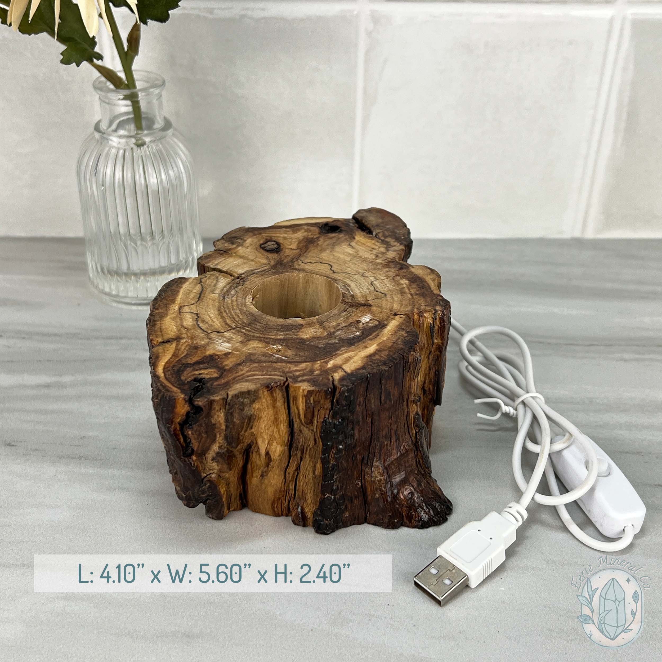 USB Powered Wood Stump LED Cool White Light Sphere Stand – Eerie ...