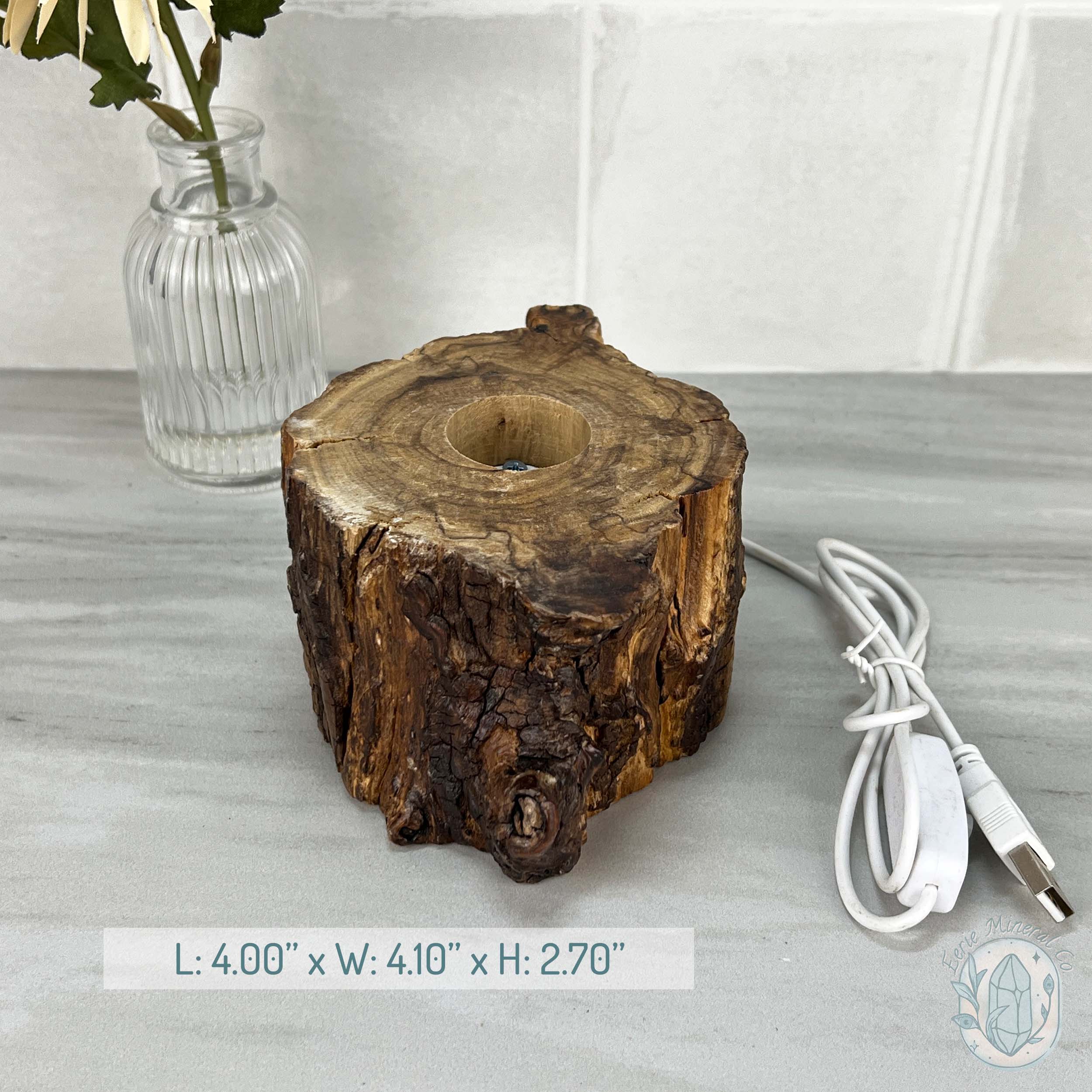 USB Powered Wood Stump LED Cool White Light Sphere Stand – Eerie ...