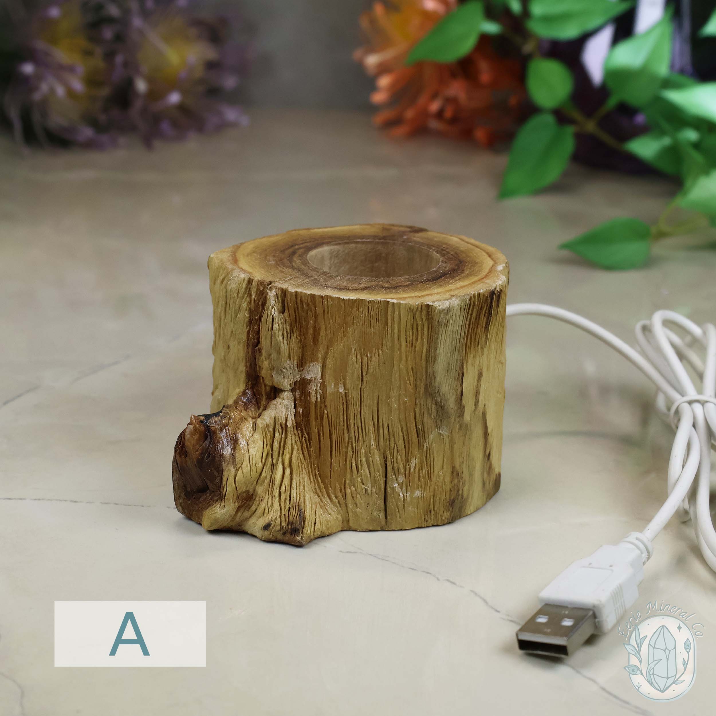 USB Powered Wood Stump LED Light Sphere Stand | Eerie Mineral Co.