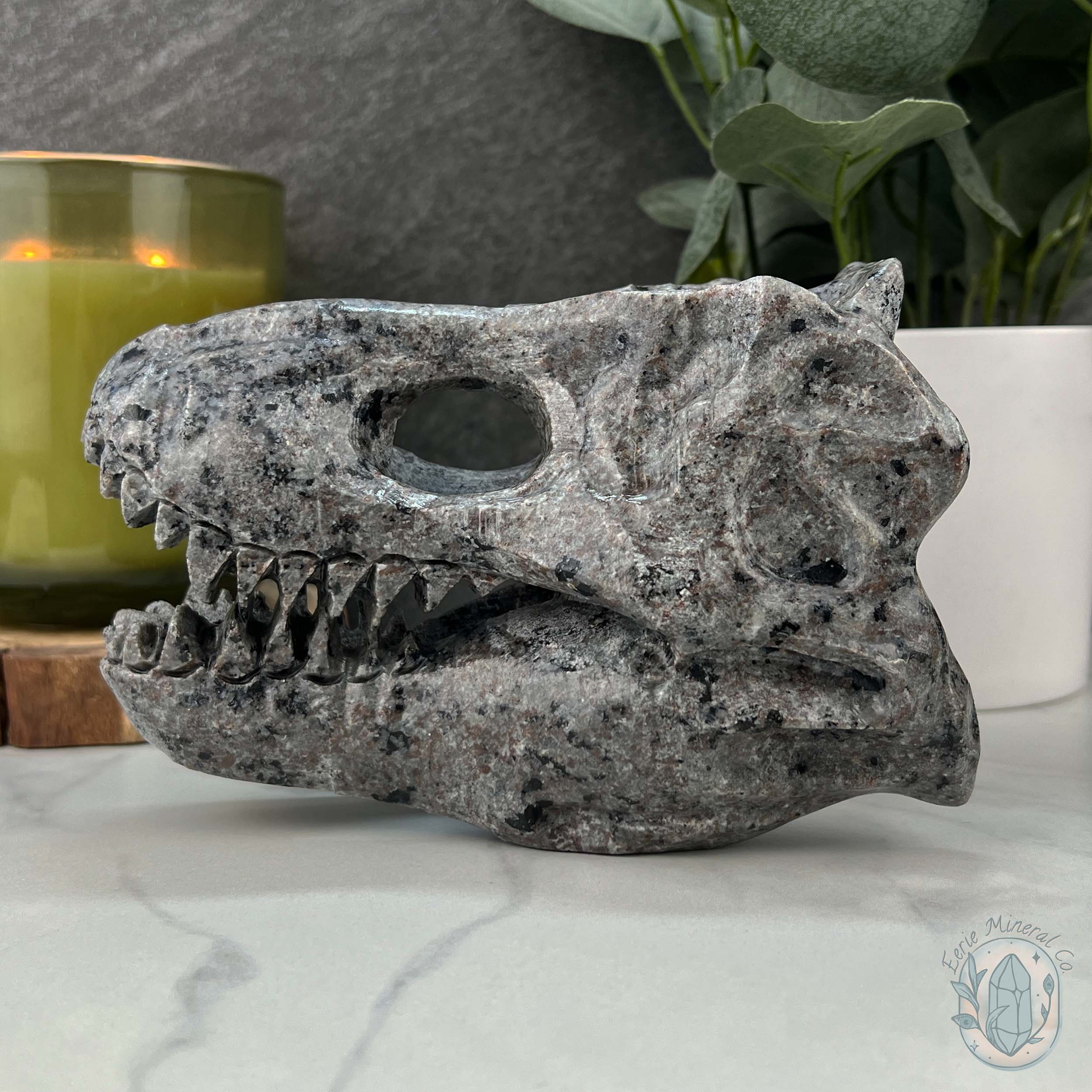UV Reactive Emberlite aka Firestone Dinosaur Skull Carving – Eerie Mineral Co.