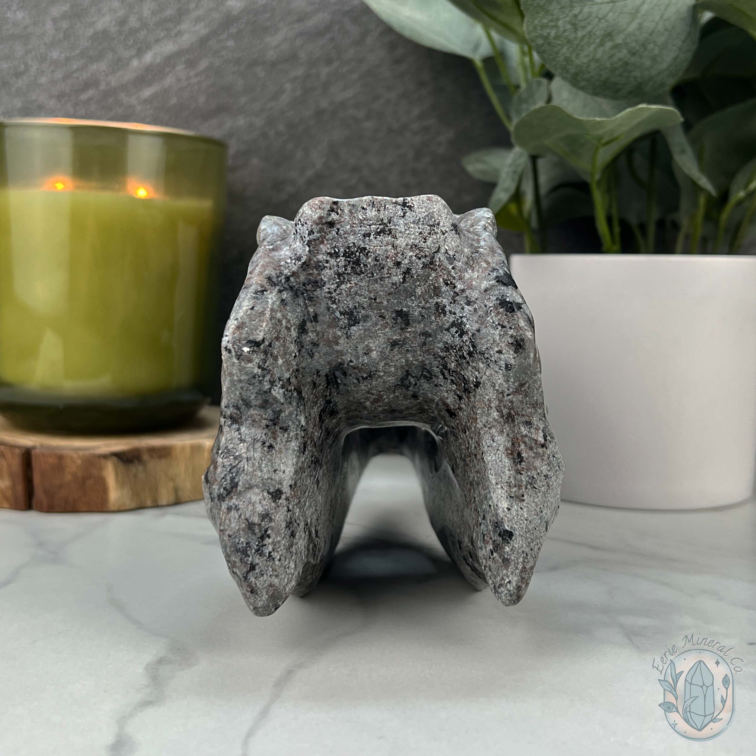 UV Reactive Emberlite aka Firestone Dinosaur Skull Carving – Eerie Mineral Co.