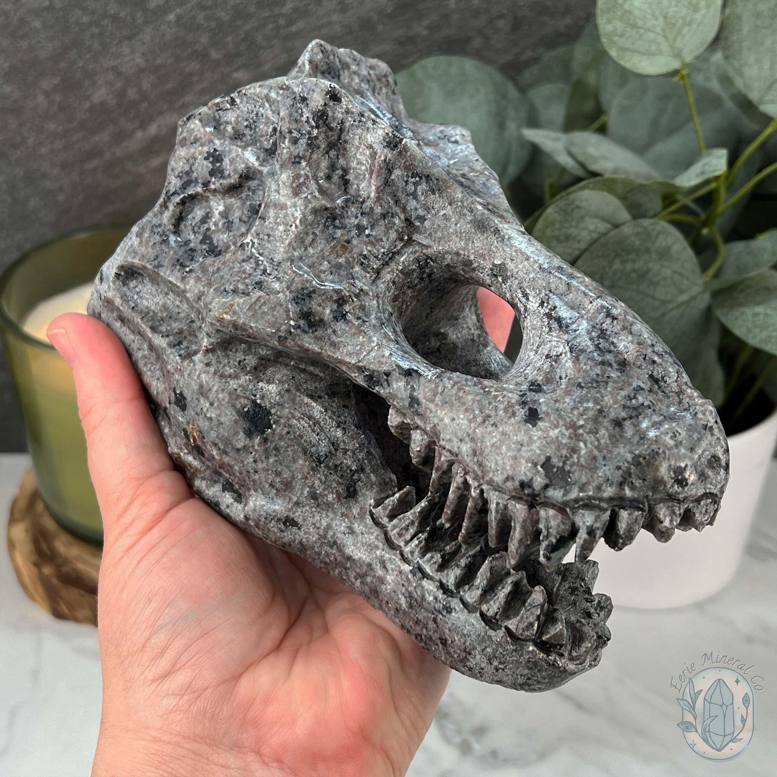 UV Reactive Emberlite aka Firestone Dinosaur Skull Carving – Eerie Mineral Co.