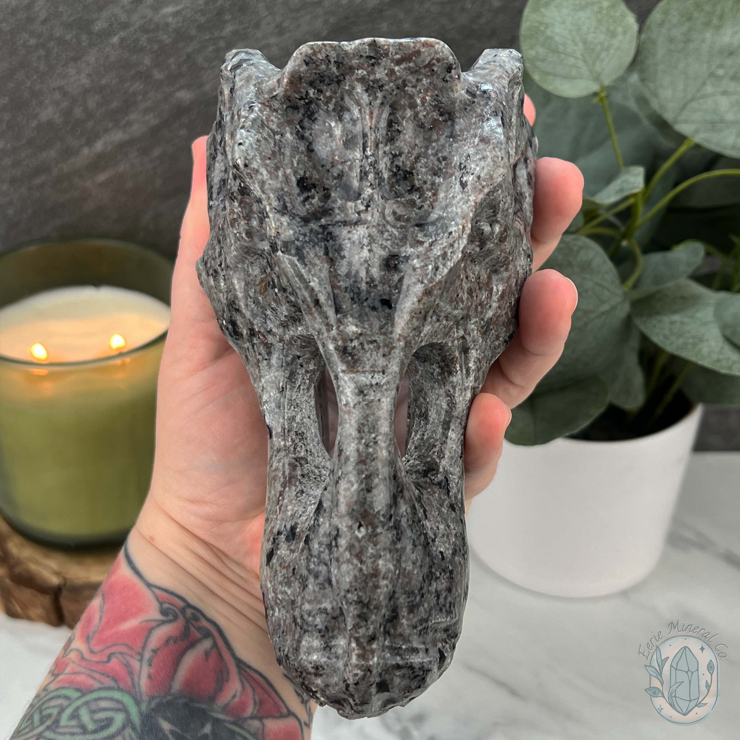UV Reactive Emberlite aka Firestone Dinosaur Skull Carving – Eerie Mineral Co.
