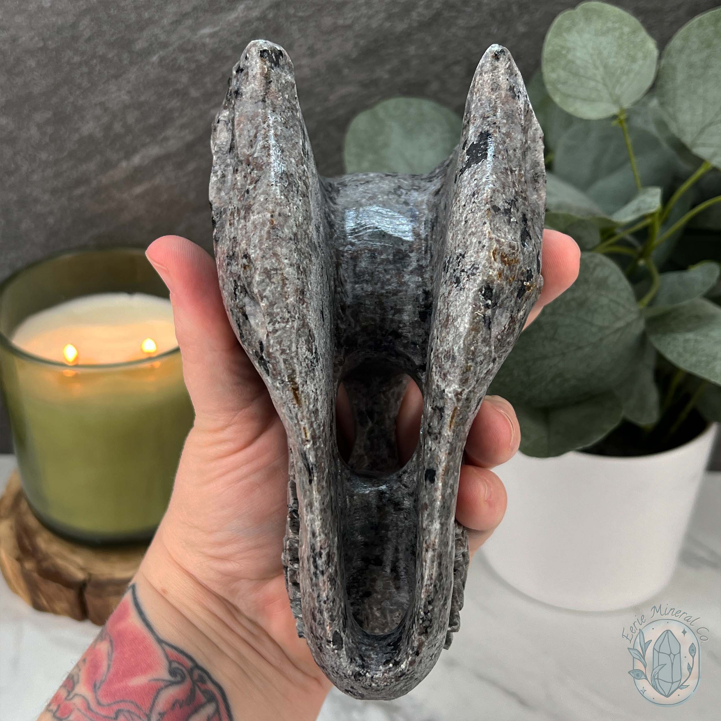 UV Reactive Emberlite aka Firestone Dinosaur Skull Carving – Eerie Mineral Co.