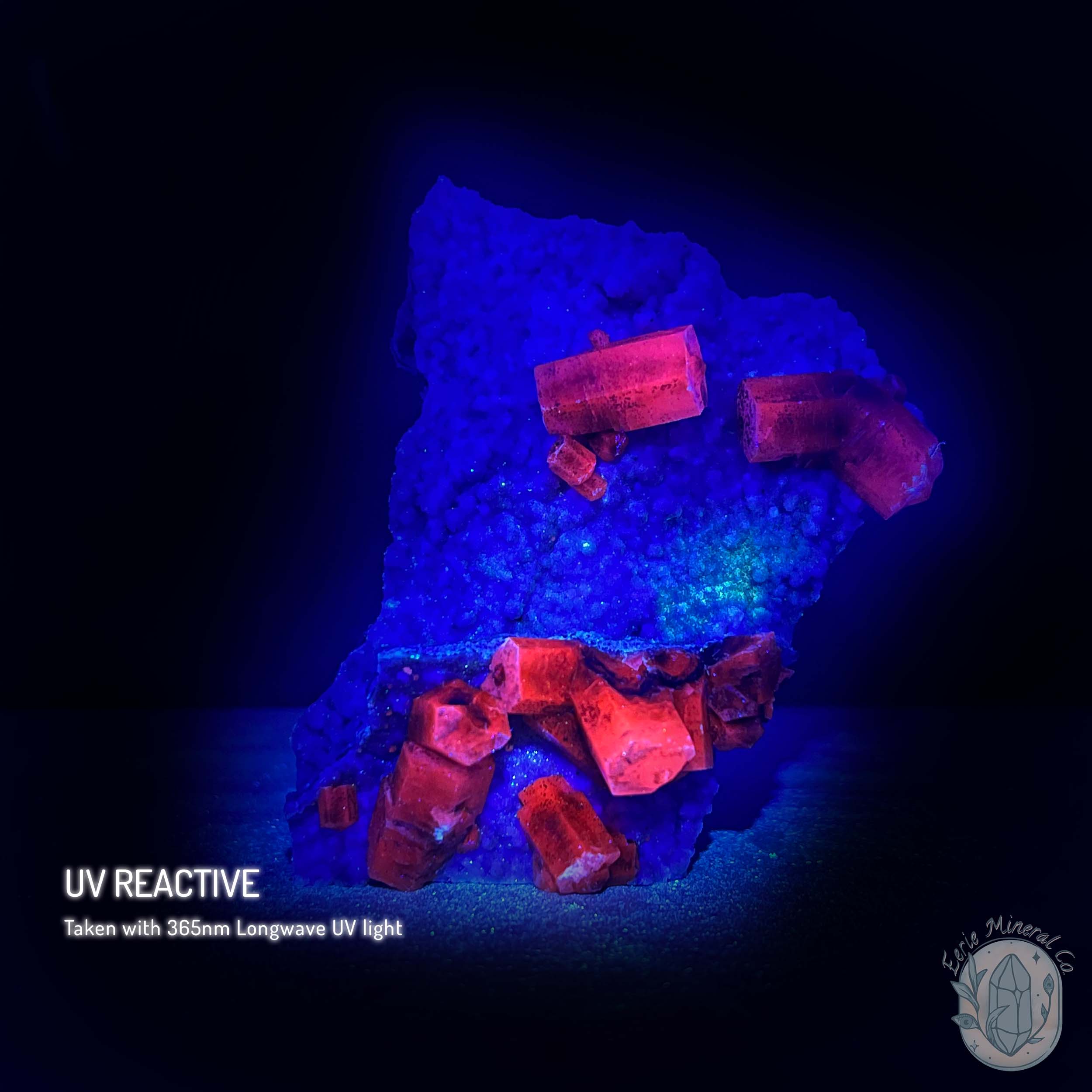 Druzy UV Reactive Columnar Calcite Specimen | Natural Specimens – Eerie ...