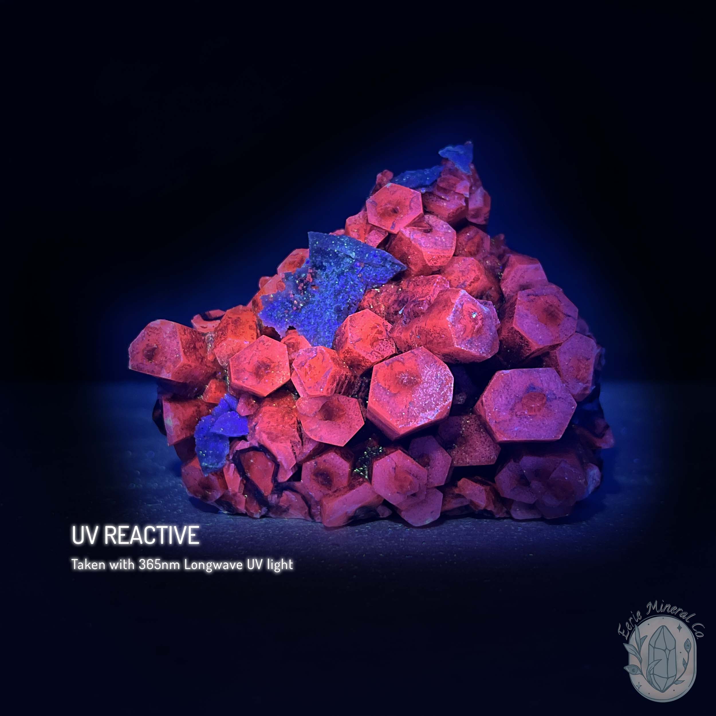 UV Reactive Columnar Calcite Cluster Specimen | Eerie Mineral Co.