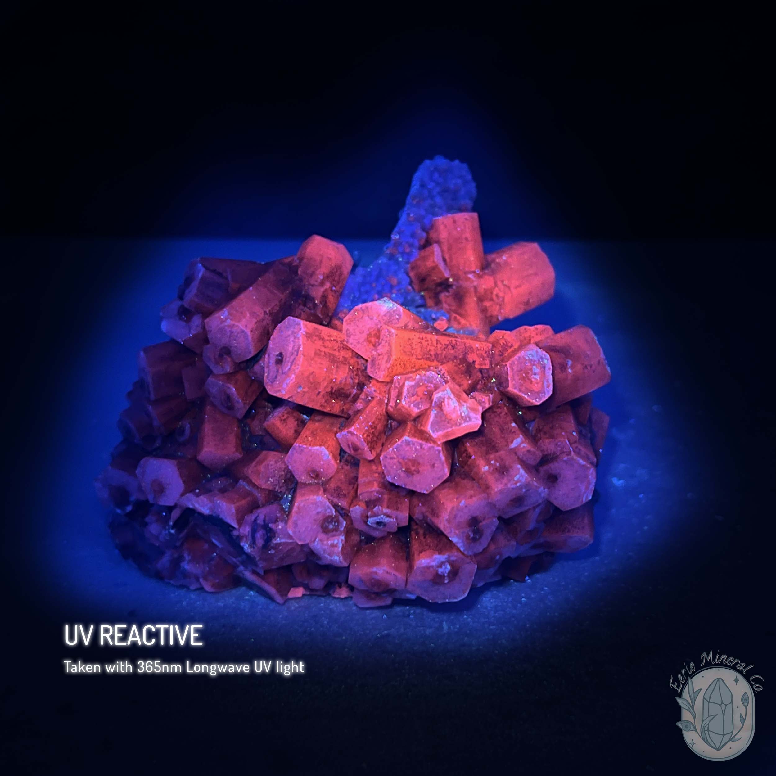 UV Reactive Druzy Columnar Calcite Specimen | Eerie Mineral Co.