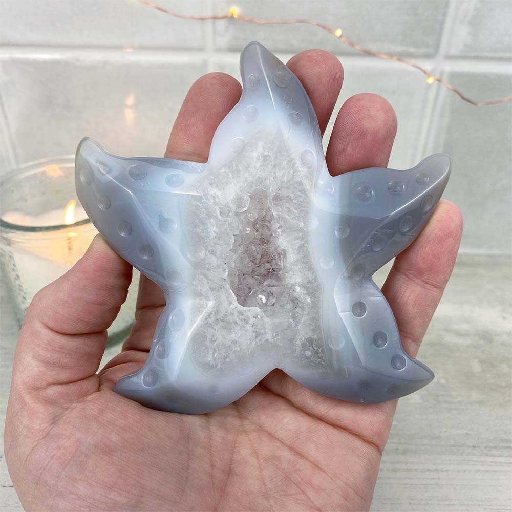 Polished Blue and White Agate Sea Star | Eerie Mineral Co.