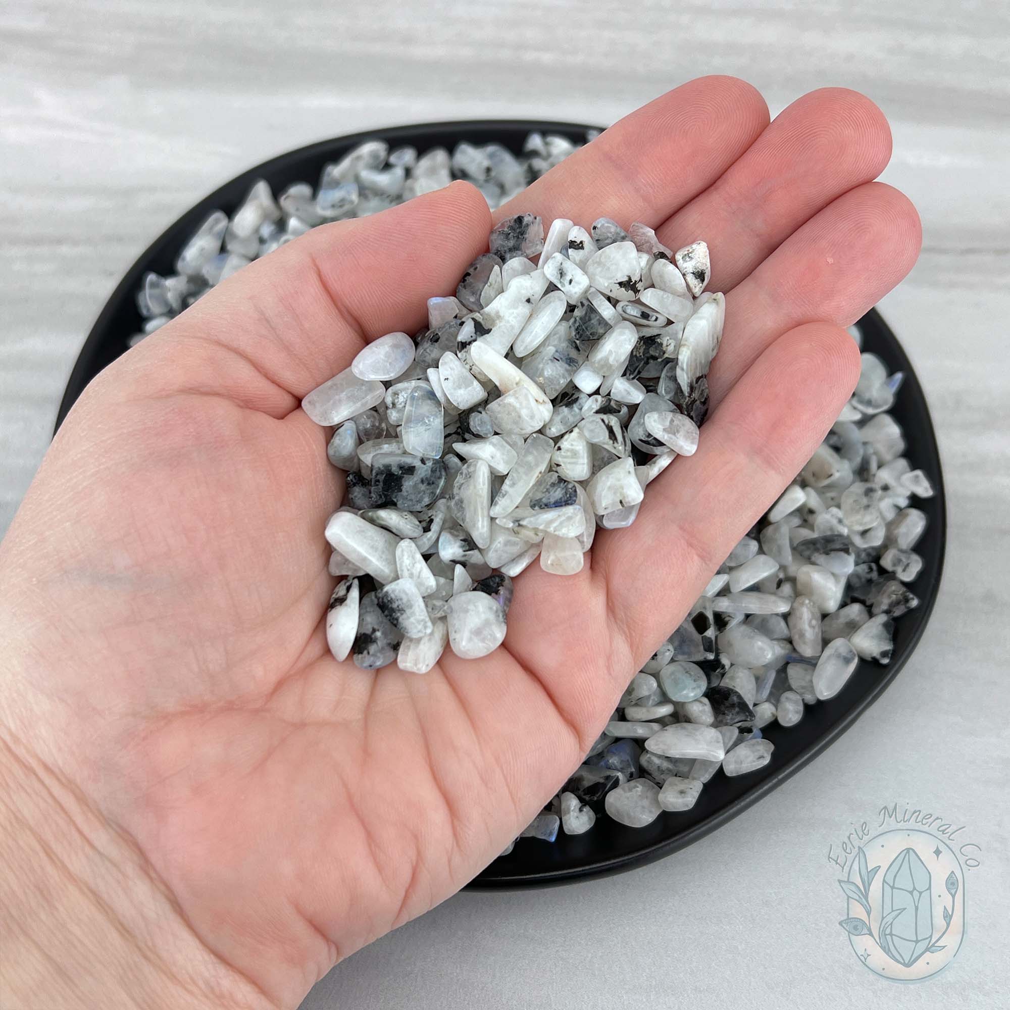 Polished Blue Moonstone Chips - Average Size: 8mm | Eerie Mineral Co.