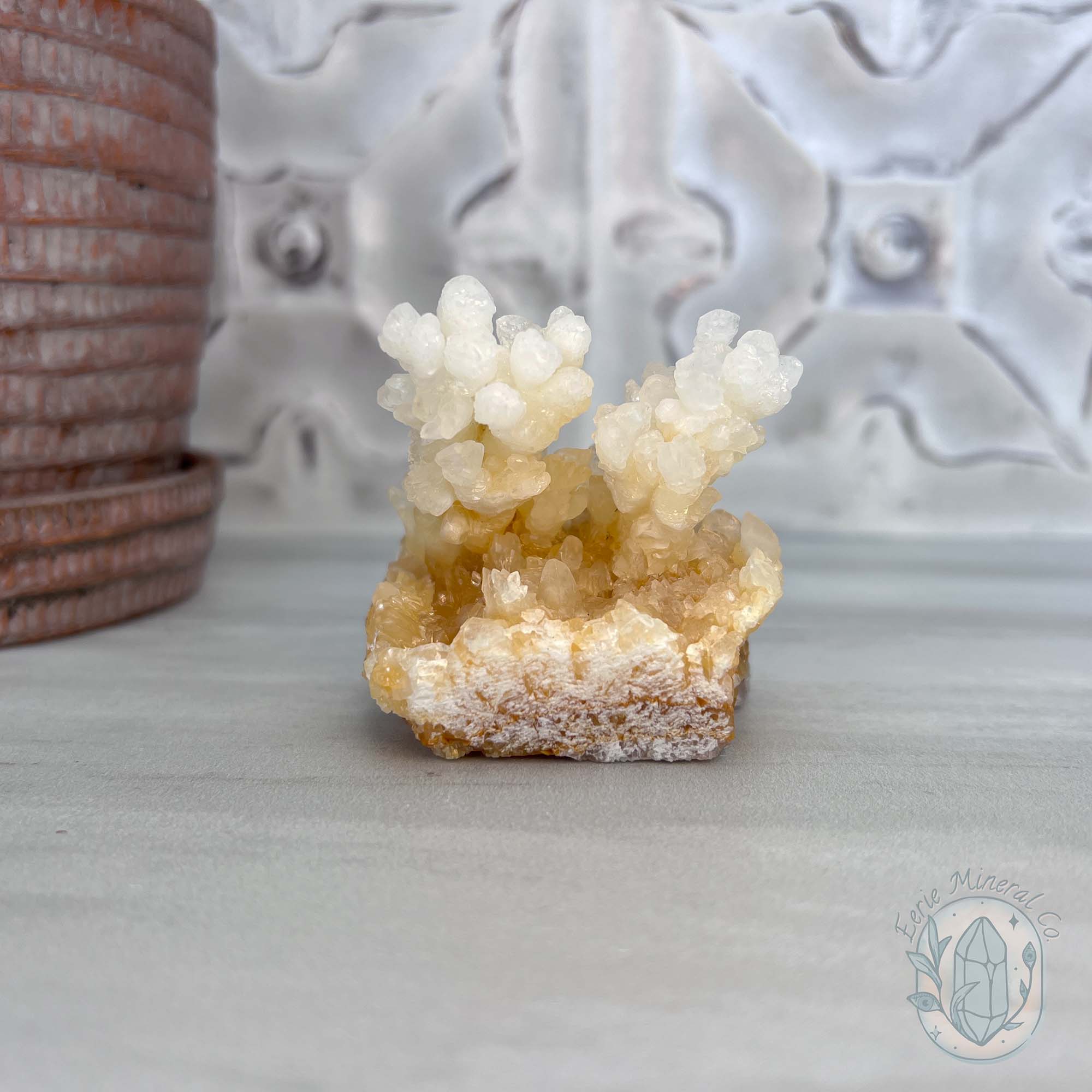 Natural Druzy Cave Calcite Stalactite Specimen | Eerie Mineral Co.