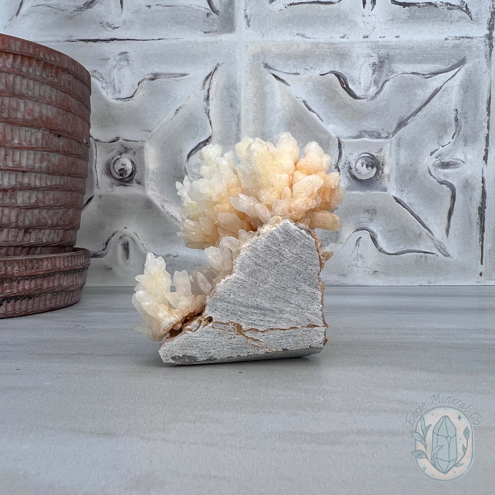 Natural Druzy Cave Calcite Stalactite Specimen | Eerie Mineral Co.