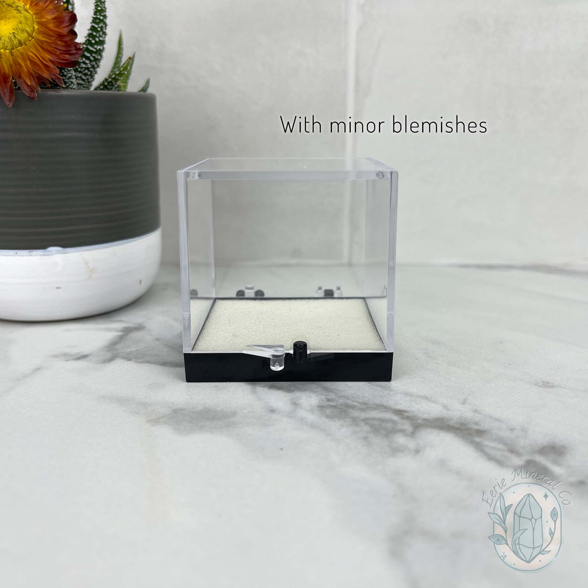 Clear Perky Specimen Boxes, Display Cases, Floating Displays – Eerie ...