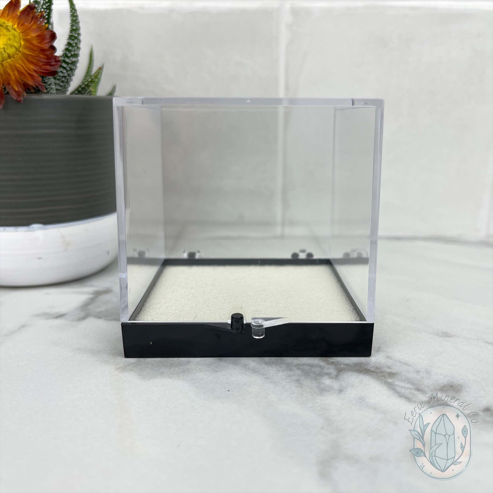 Clear Perky Specimen Boxes, Display Cases, Floating Displays – Eerie ...