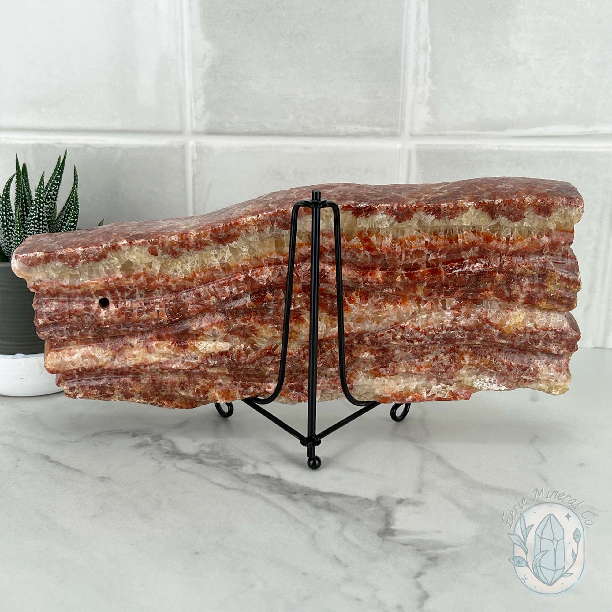 Polished Pork Stone Specimen Slab | Eerie Mineral Co.