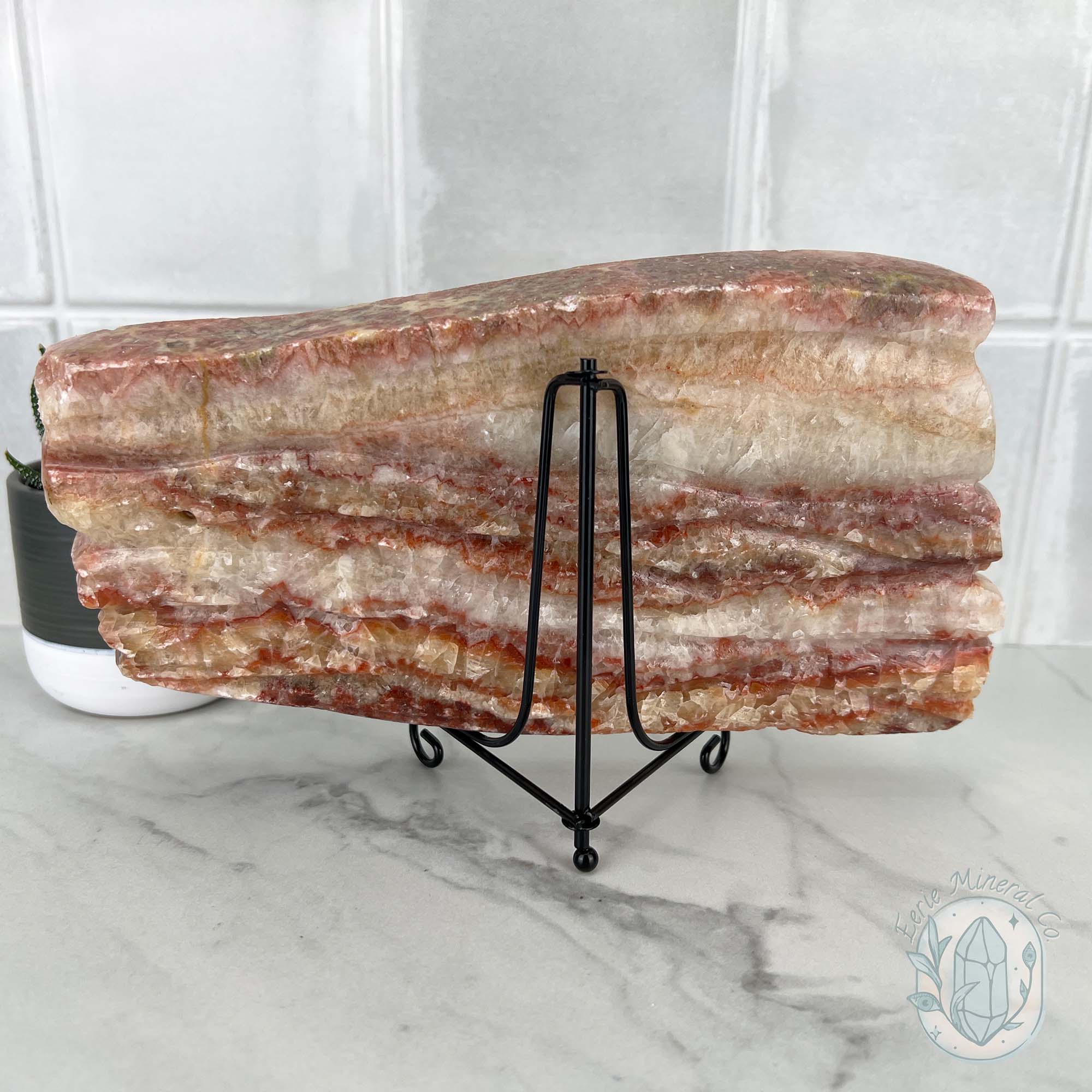 Polished Pork Stone Specimen Slab | Eerie Mineral Co.