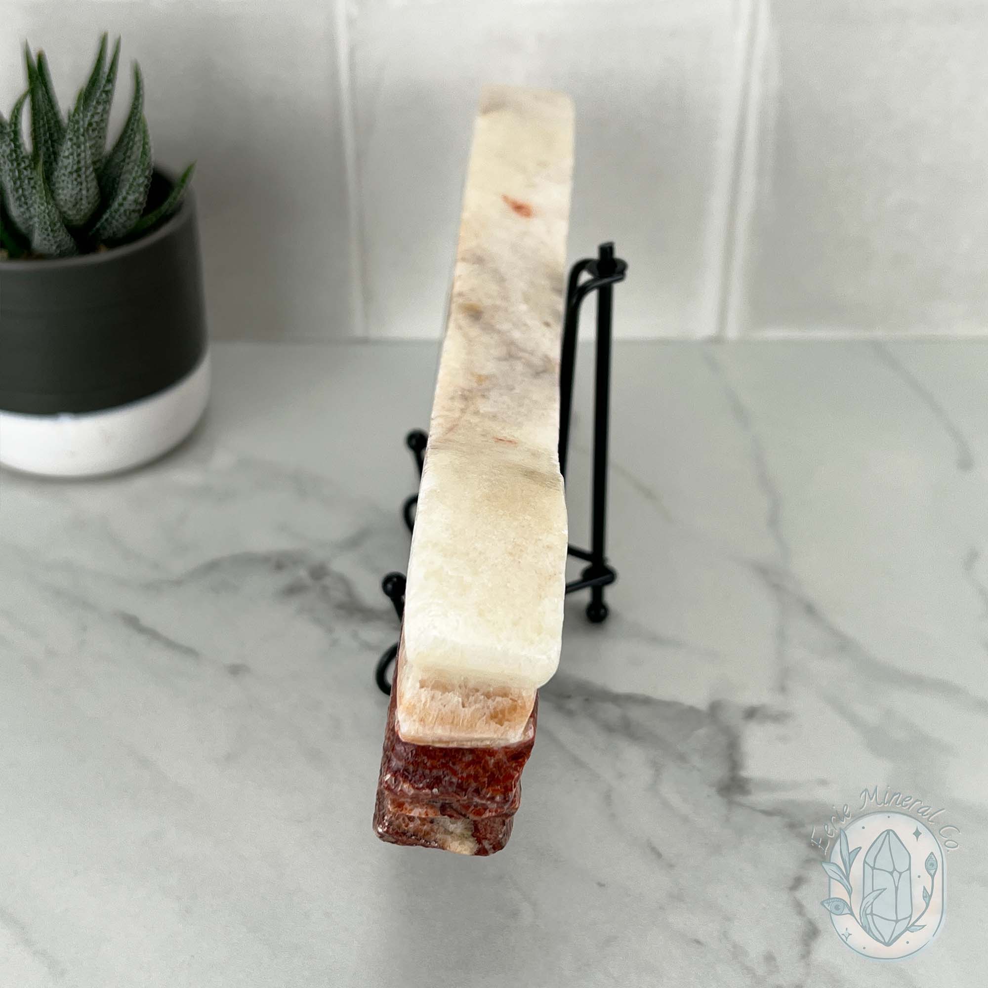 Polished Pork Stone Specimen Slab | Eerie Mineral Co.