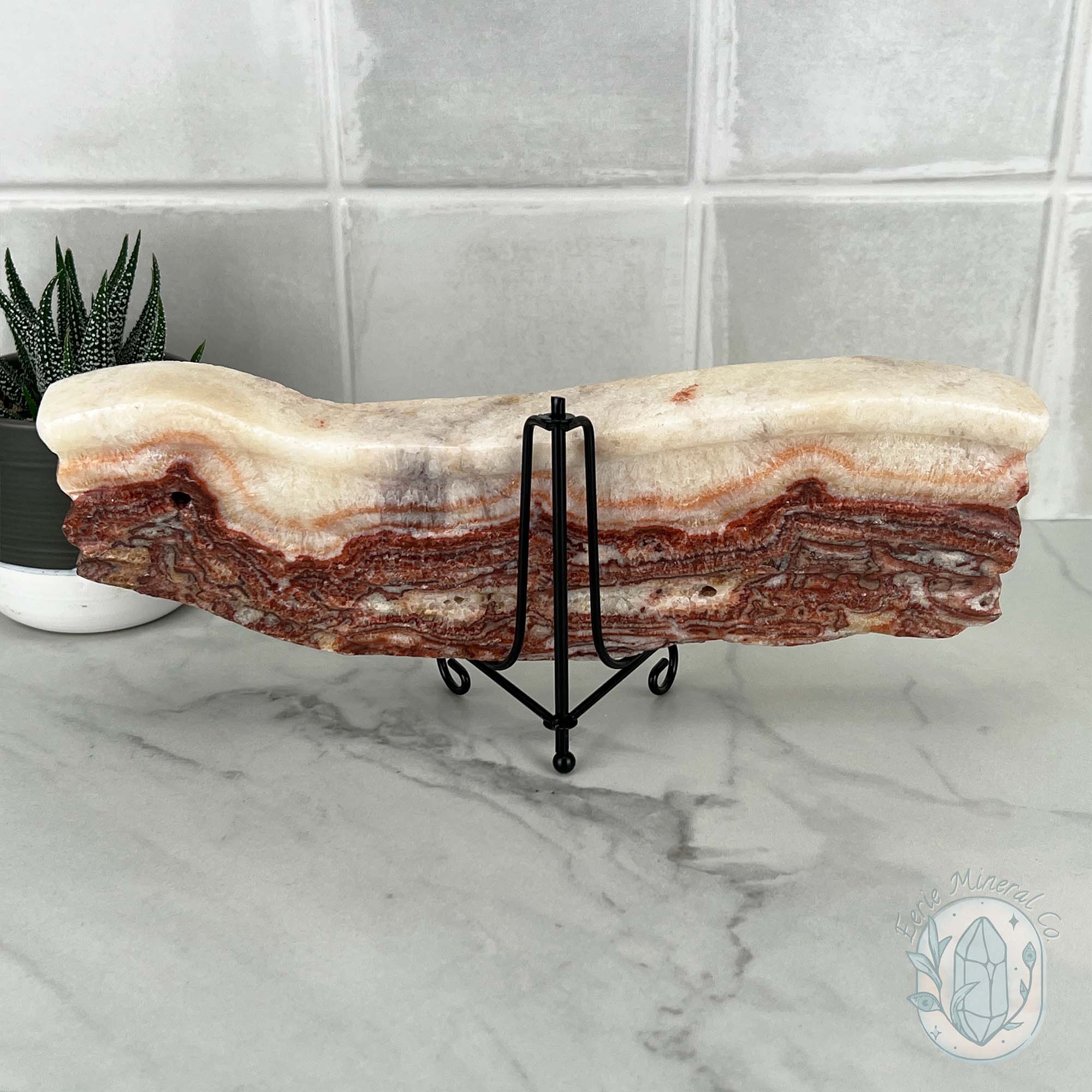 Polished Pork Stone Specimen Slab | Eerie Mineral Co.