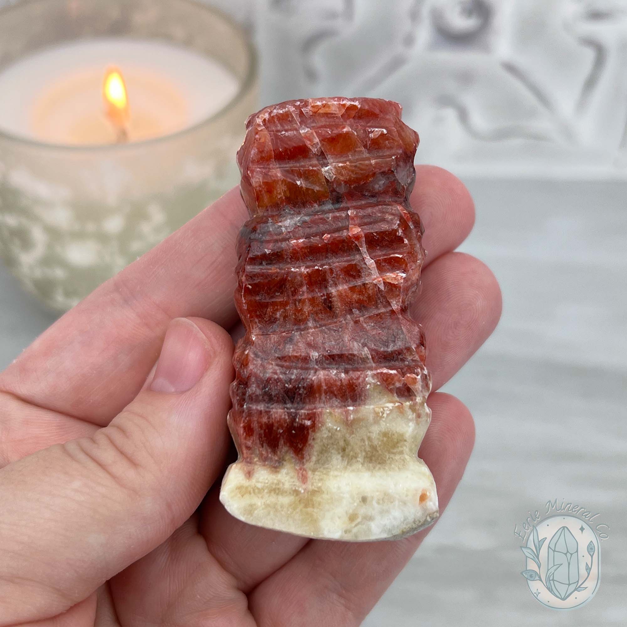 Pork Stone, Bacon Stone Slice Specimen | Eerie Mineral Co.