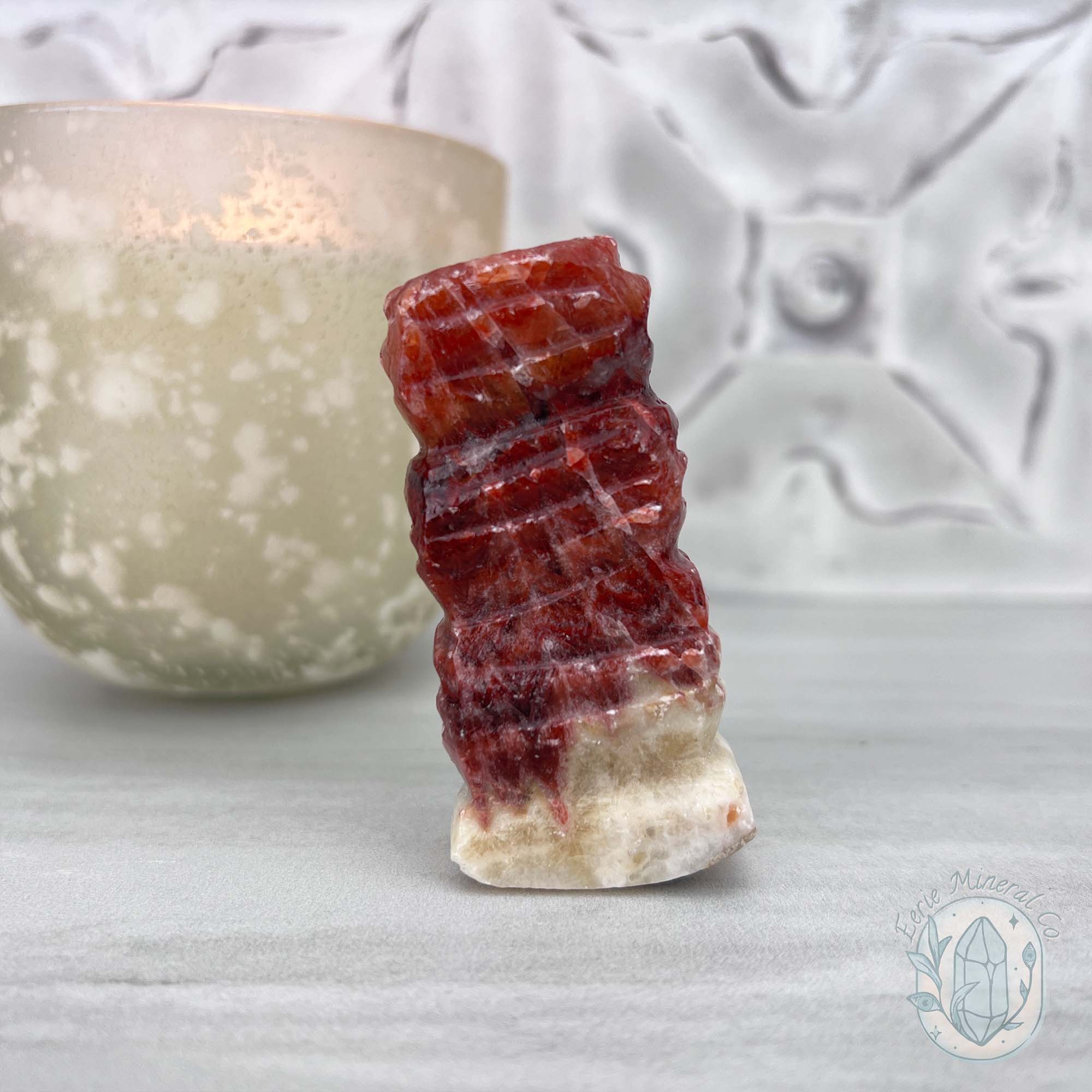 Pork Stone, Bacon Stone Slice Specimen | Eerie Mineral Co.
