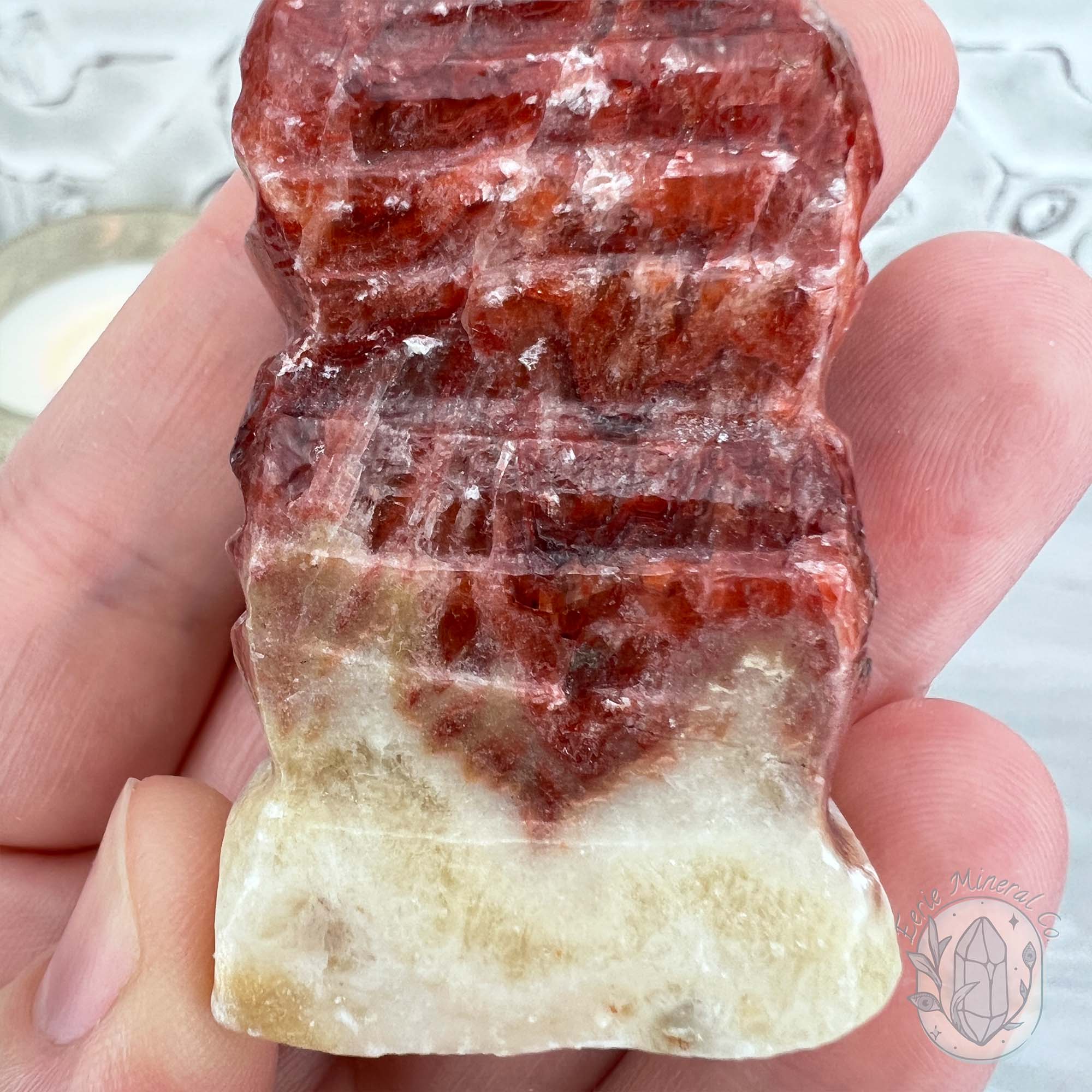 Pork Stone, Bacon Stone Slice Specimen | Eerie Mineral Co.