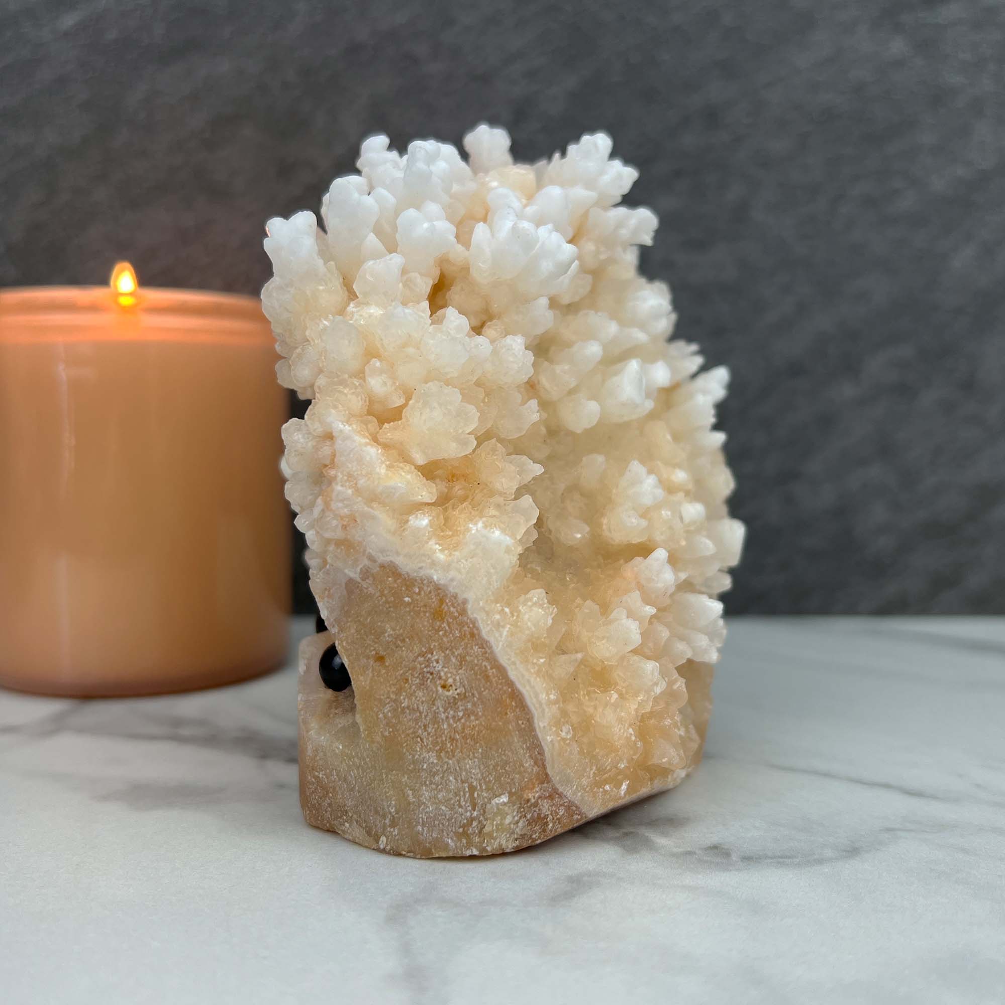 Large Creamy White Calcite Stalactite Pet Rock | Eerie Mineral Co.