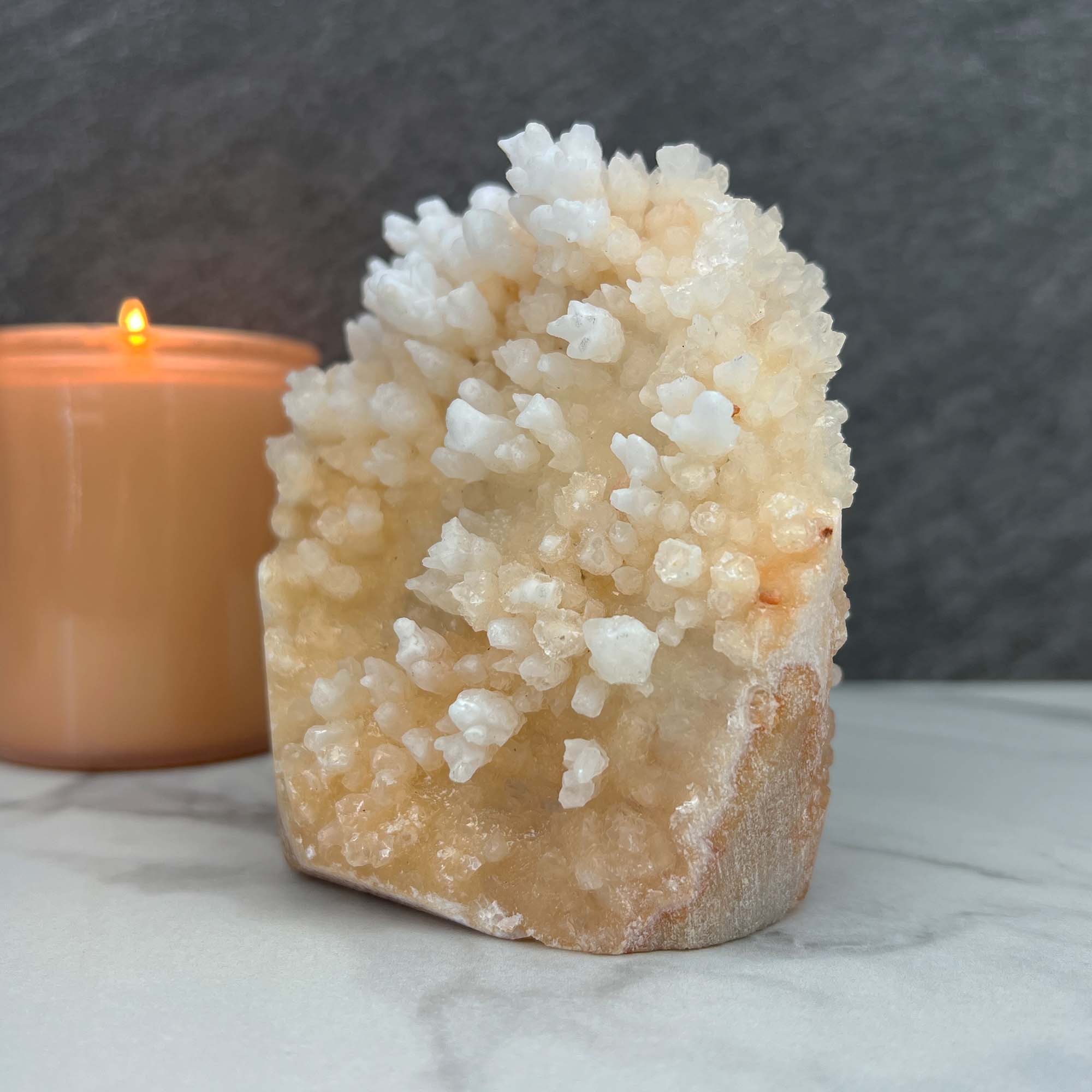 Large Creamy White Calcite Stalactite Pet Rock | Eerie Mineral Co.
