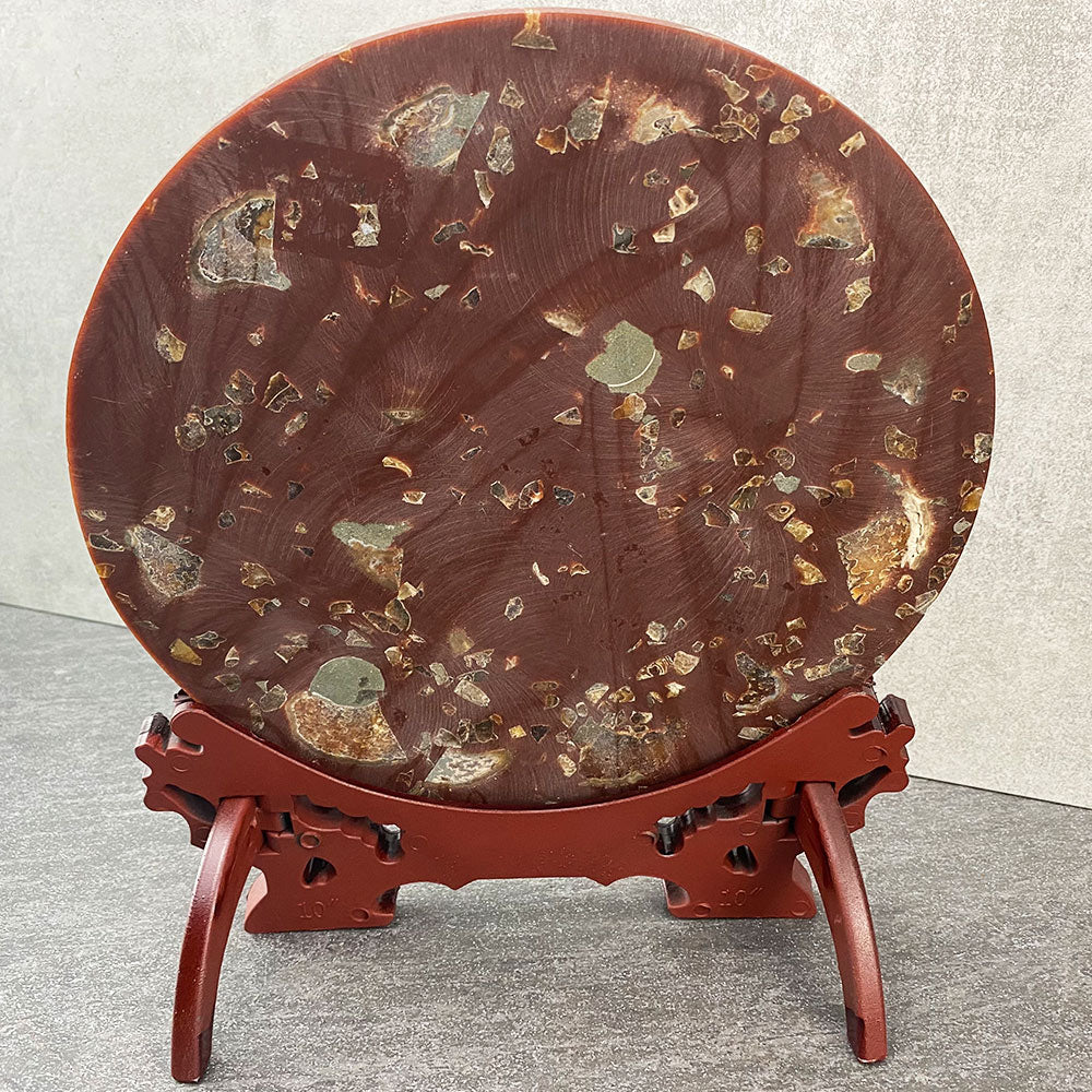 Ammonite Fossil Display Piece | Eerie Mineral Co.