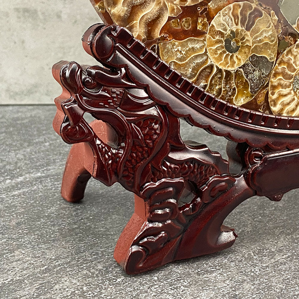 Ammonite Fossil Display Piece | Eerie Mineral Co.