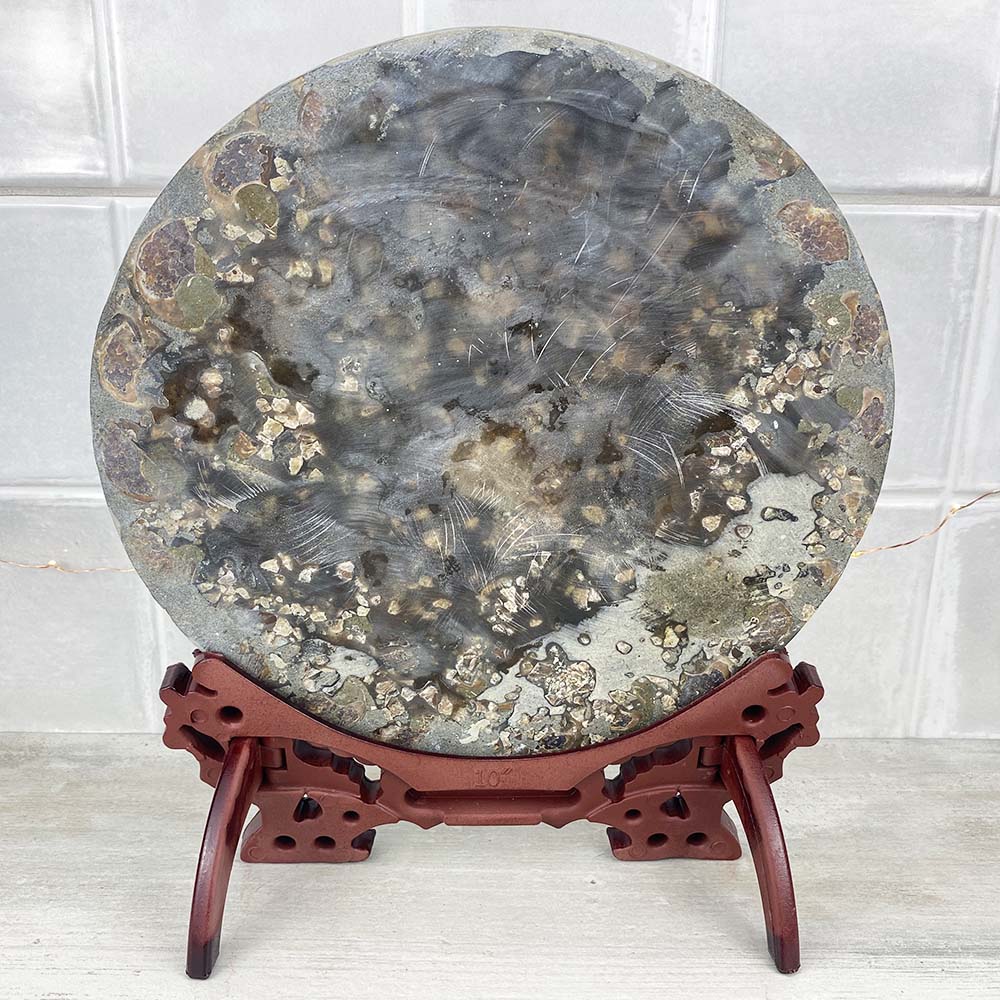 Large Polished Ammonite Fossil Plate | Eerie Mineral Co.