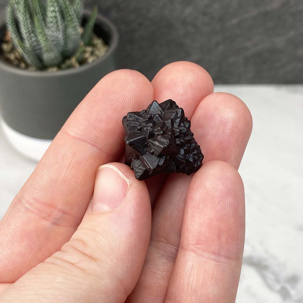 Prophecy Stones - Limonite & Hematite after Marcasite – Eerie Mineral Co.