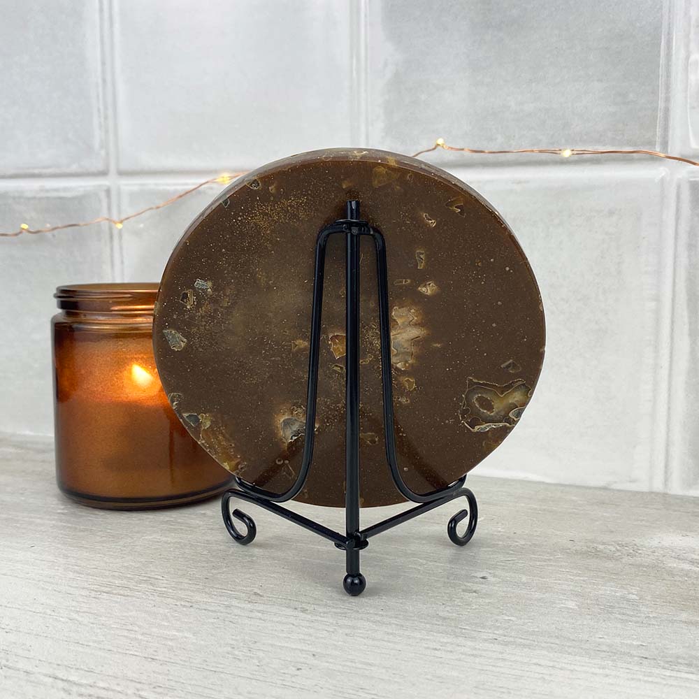 Real Ammonite Fossils with Pyrite Display Plate | Eerie Mineral Co.